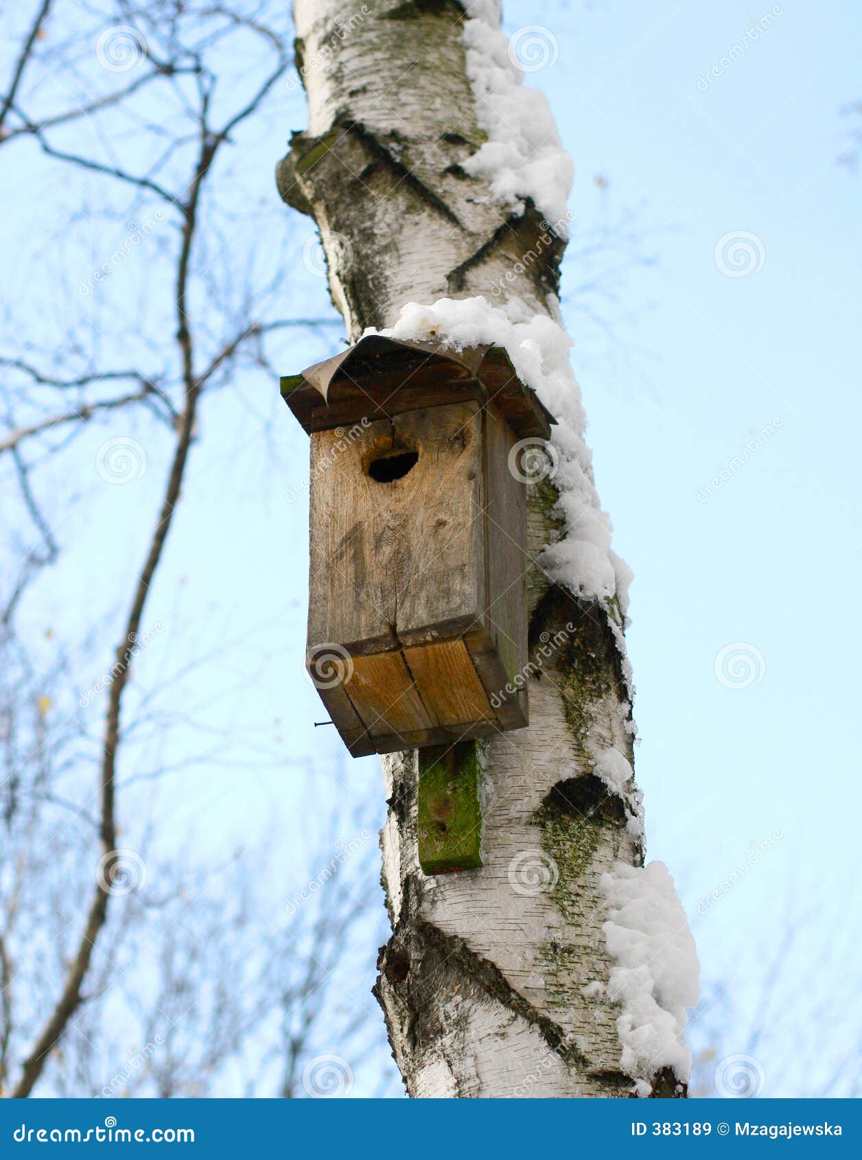 Birdhouse stock image. Image of birdhouse, shelter, table - 383189