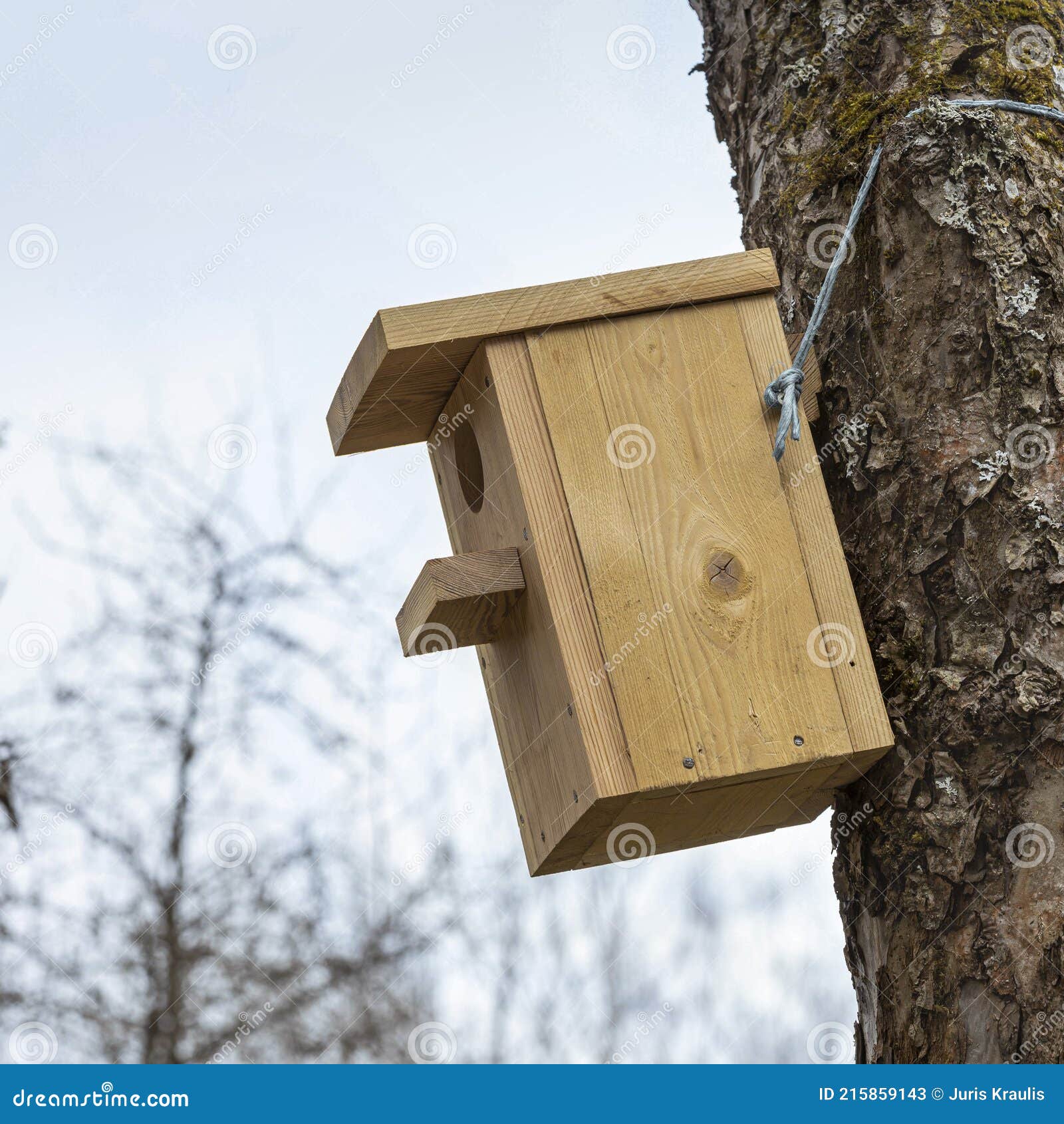 Birdhouse on Fruit Tree at Springtime Stock Image - Image of animal ...