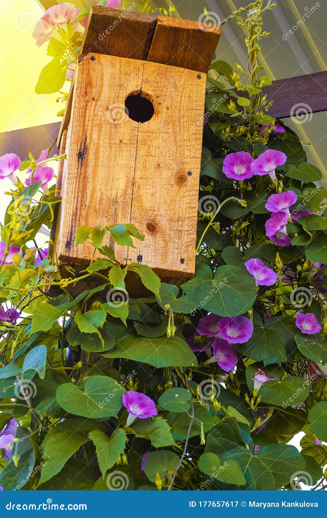 A Birdhouse for Migrating Birds. House for Starlings Stock Image ...