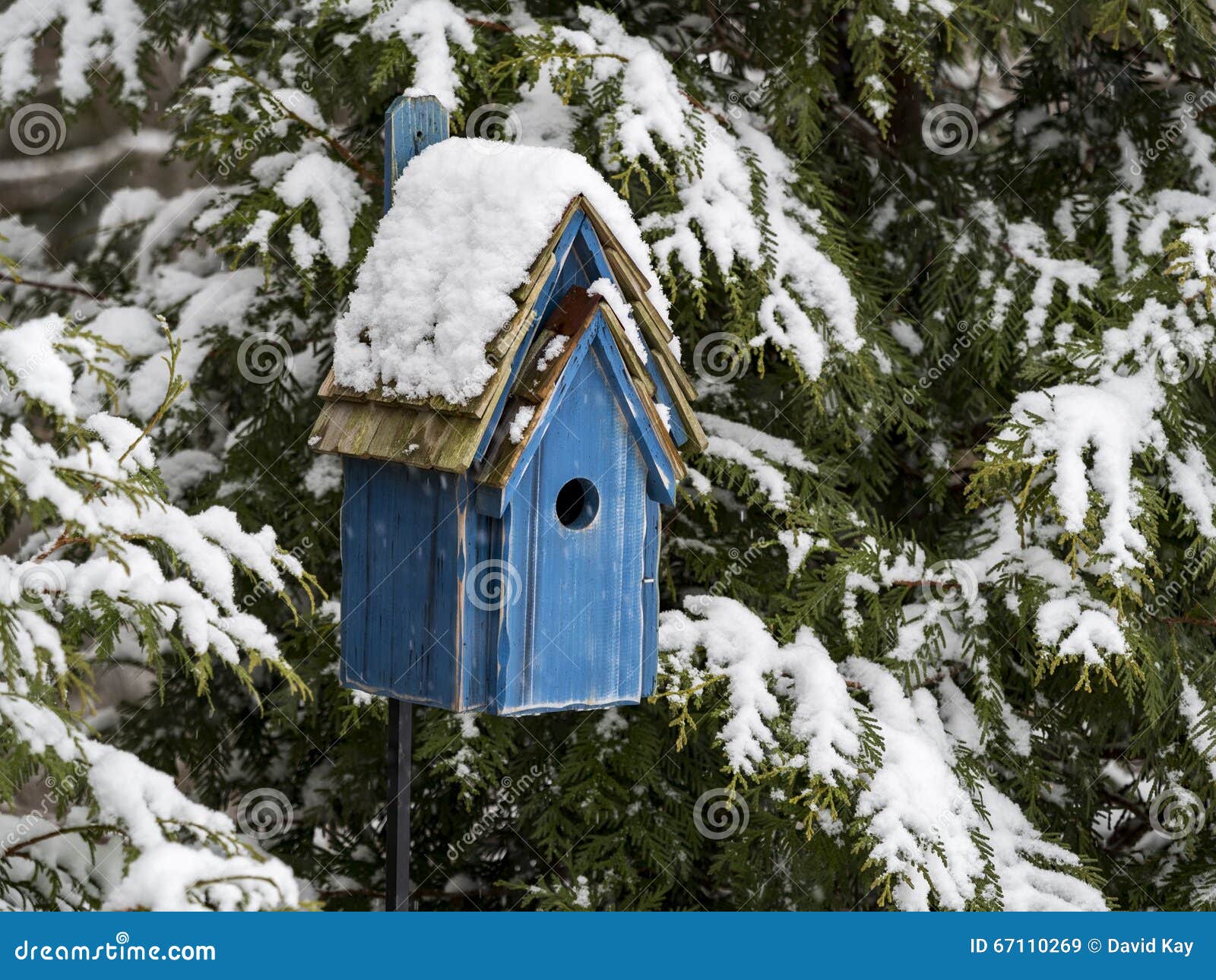 Birdhouse in Snow stock image. Image of snow, blue, nature - 67110269
