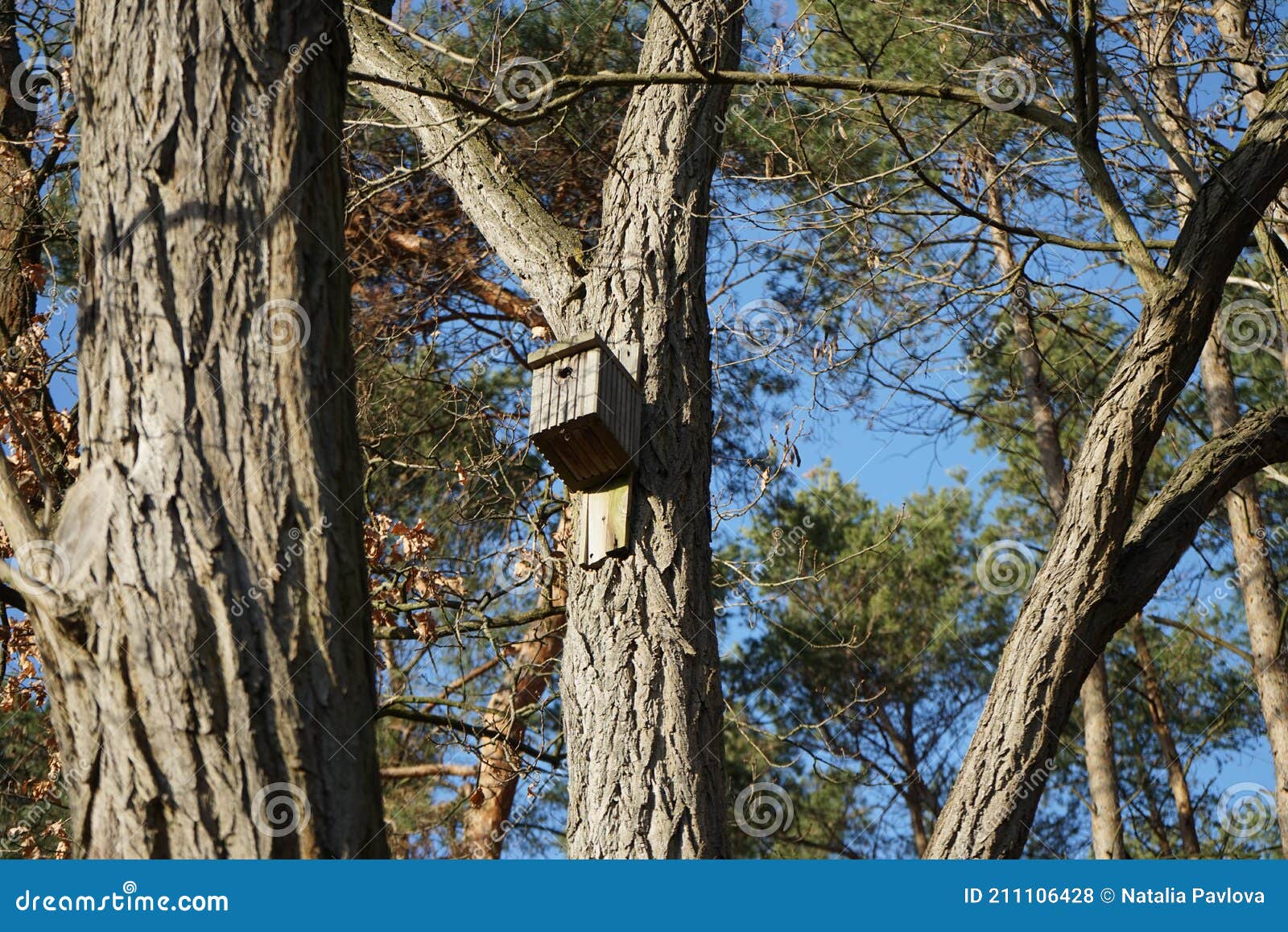 Birdhouse on a Tree in a Berlin Forest in Winter. Berlin, Germany Stock ...