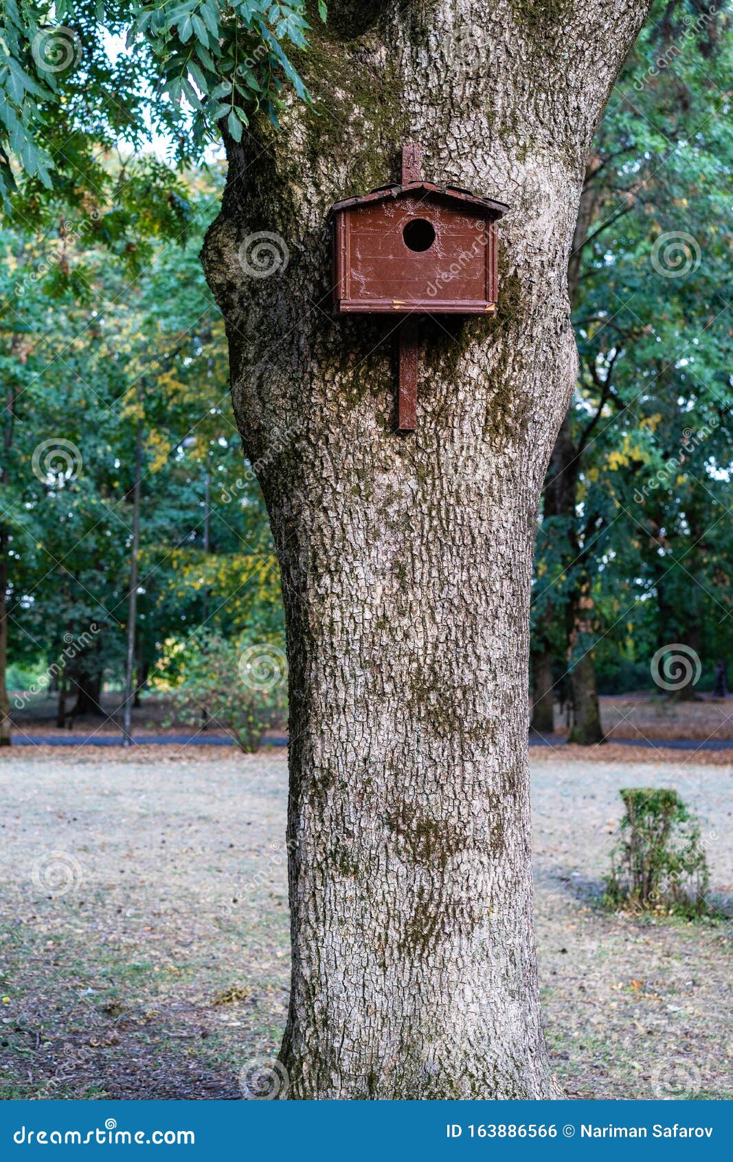 Birdhouse Tree House for Birds Stock Photo - Image of animals, birds ...