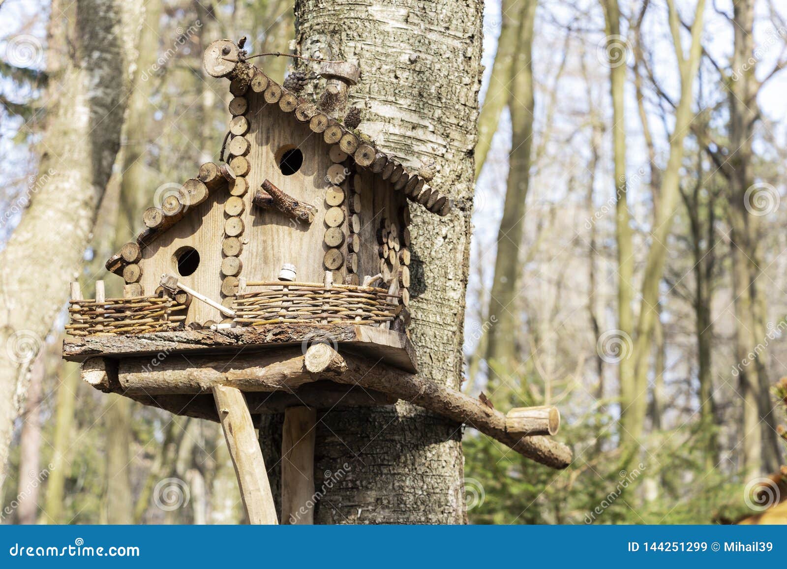 Birdhouse on a Tree in the Spring. Tree Branch with a Bird House Stock ...
