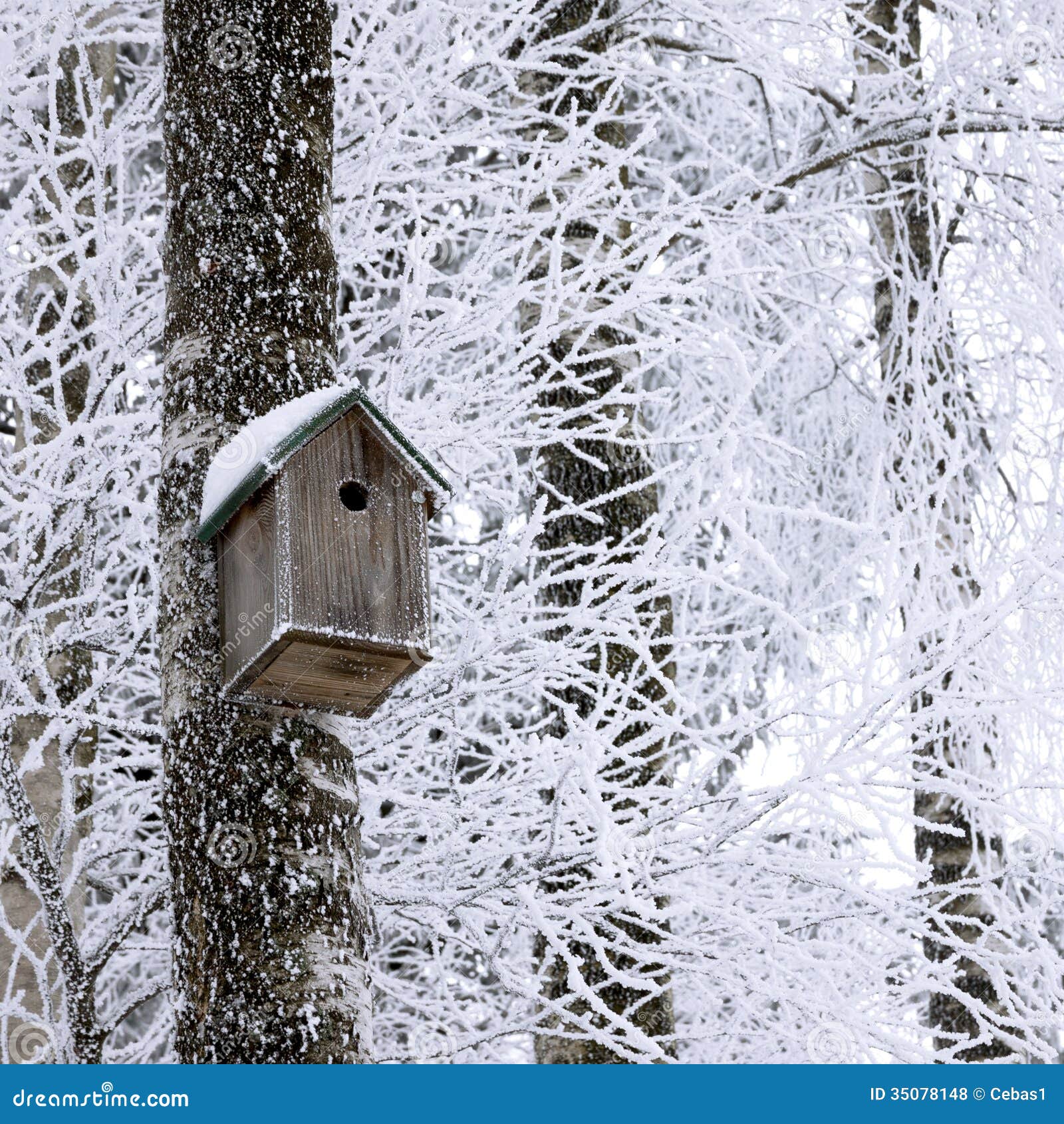 Birdhouse at winter stock photo. Image of winter, wooden - 35078148