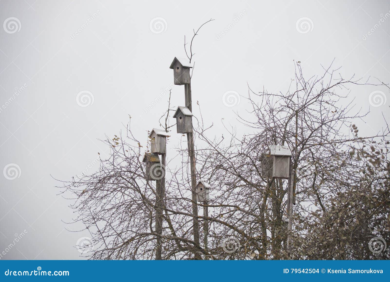 Birdhouses. Caring for Wild Birds Stock Photo - Image of bird, branches ...