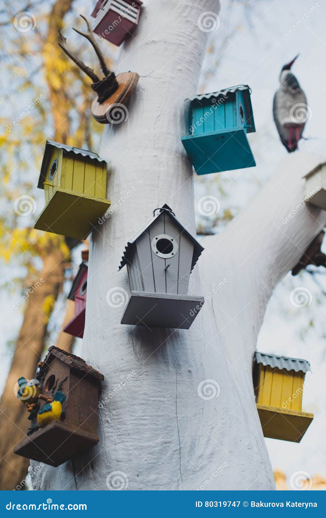Birdhouses in a tree. stock image. Image of forest, style - 80319747