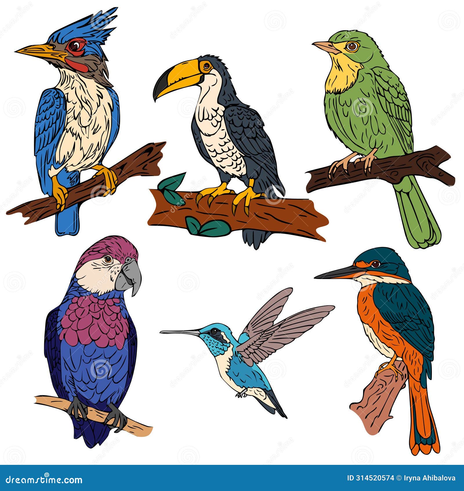 Vibrant Aviary Filled With A Variety Of Captivating Birds In An ...