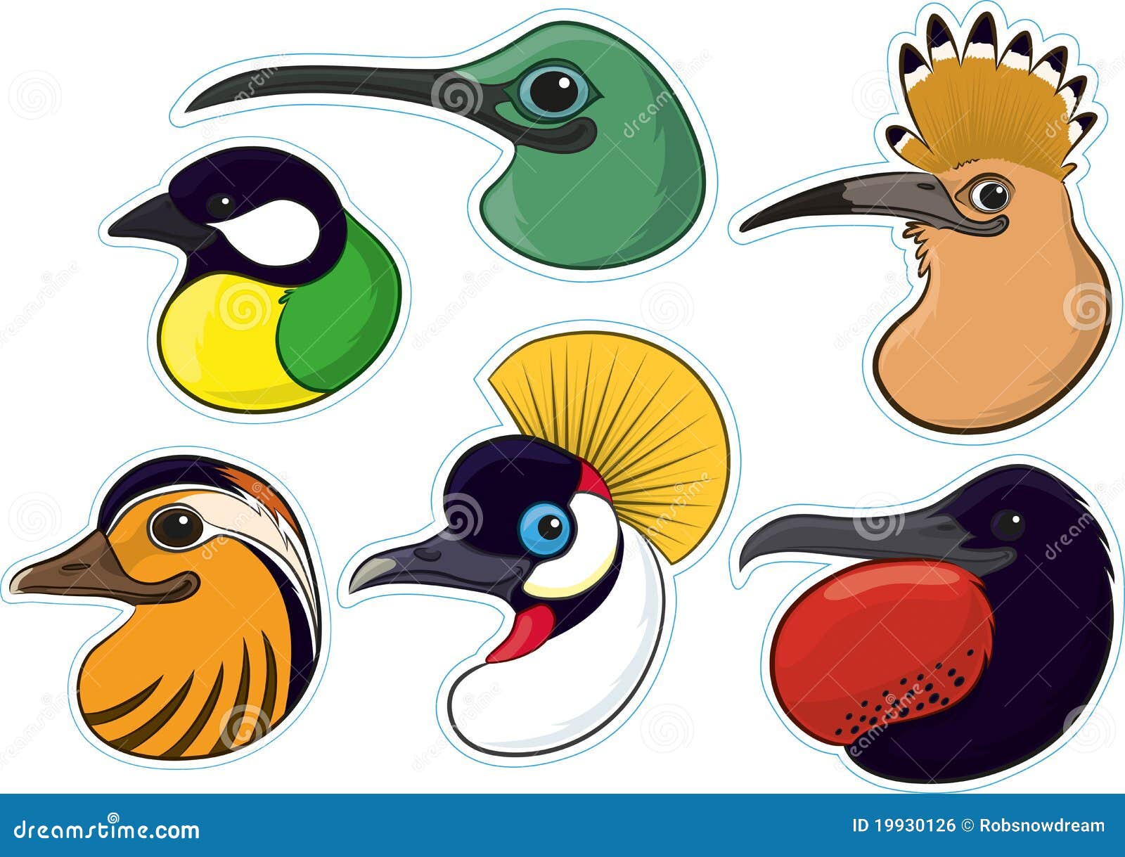 Great Frigate Bird Jpg Image With Svg Vector Cut File For Cricut And ...