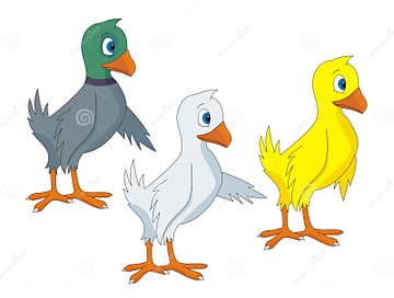 Birds Cartoon Vector Illustrations Stock Illustration - Illustration of ...