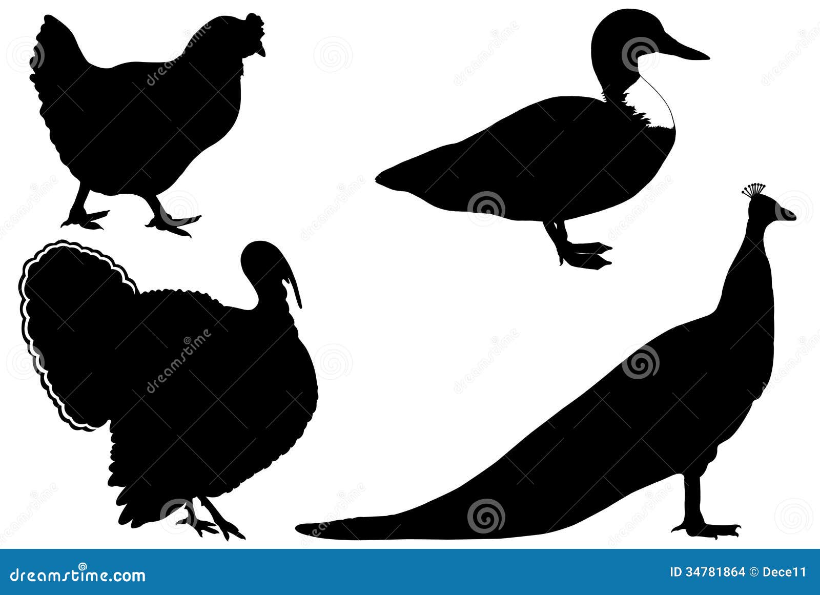 Birds Collage Vector Illustration | CartoonDealer.com #34781864