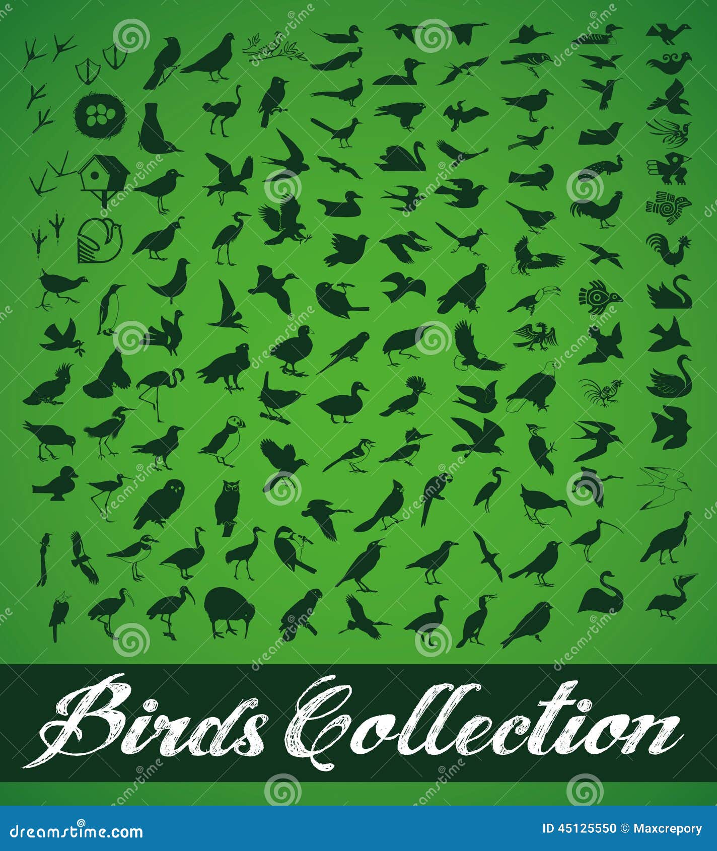 Birds Collection stock vector. Illustration of birds - 45125550