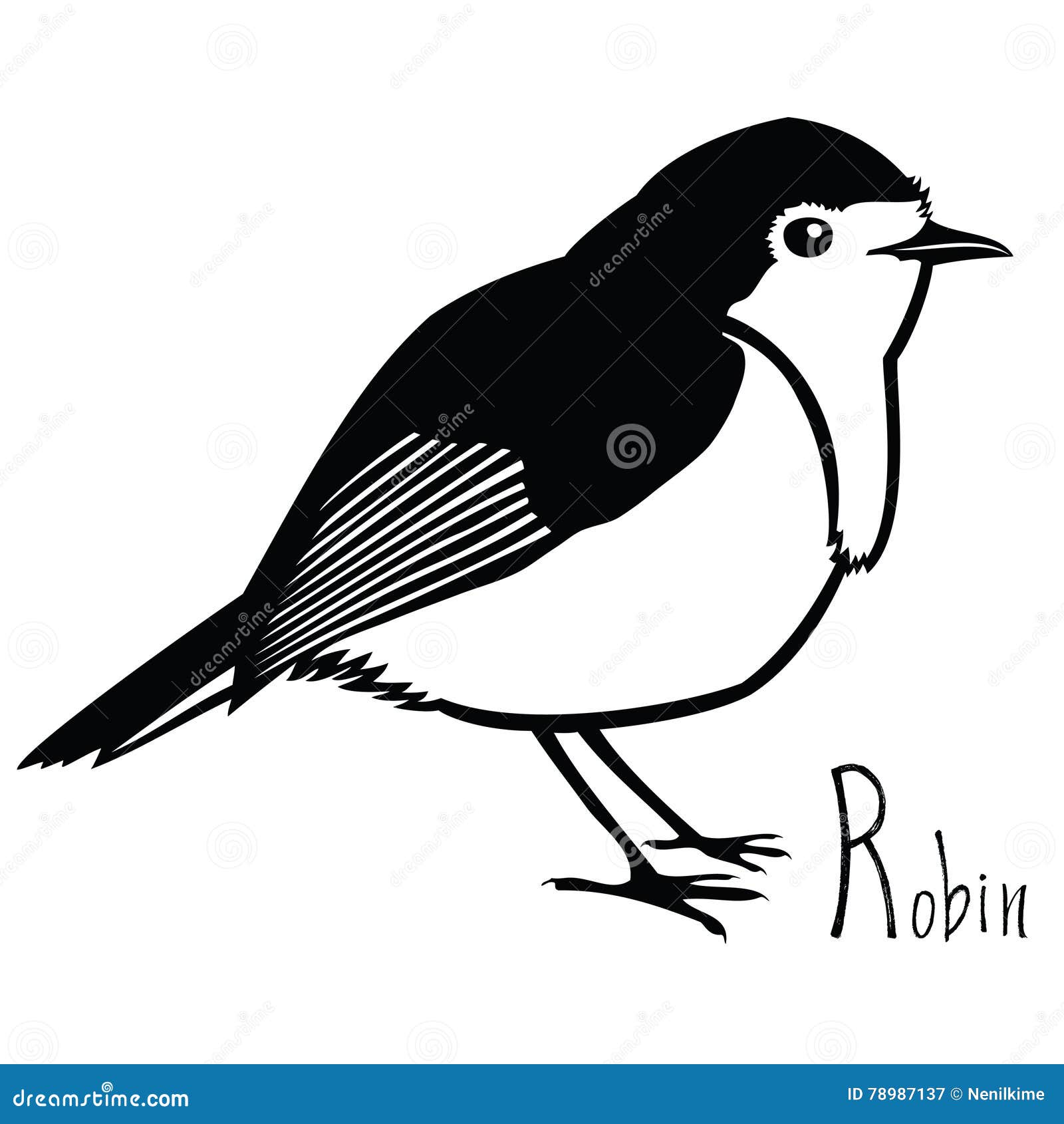 Birds Collection Robin Black and White Vector Stock Vector ...