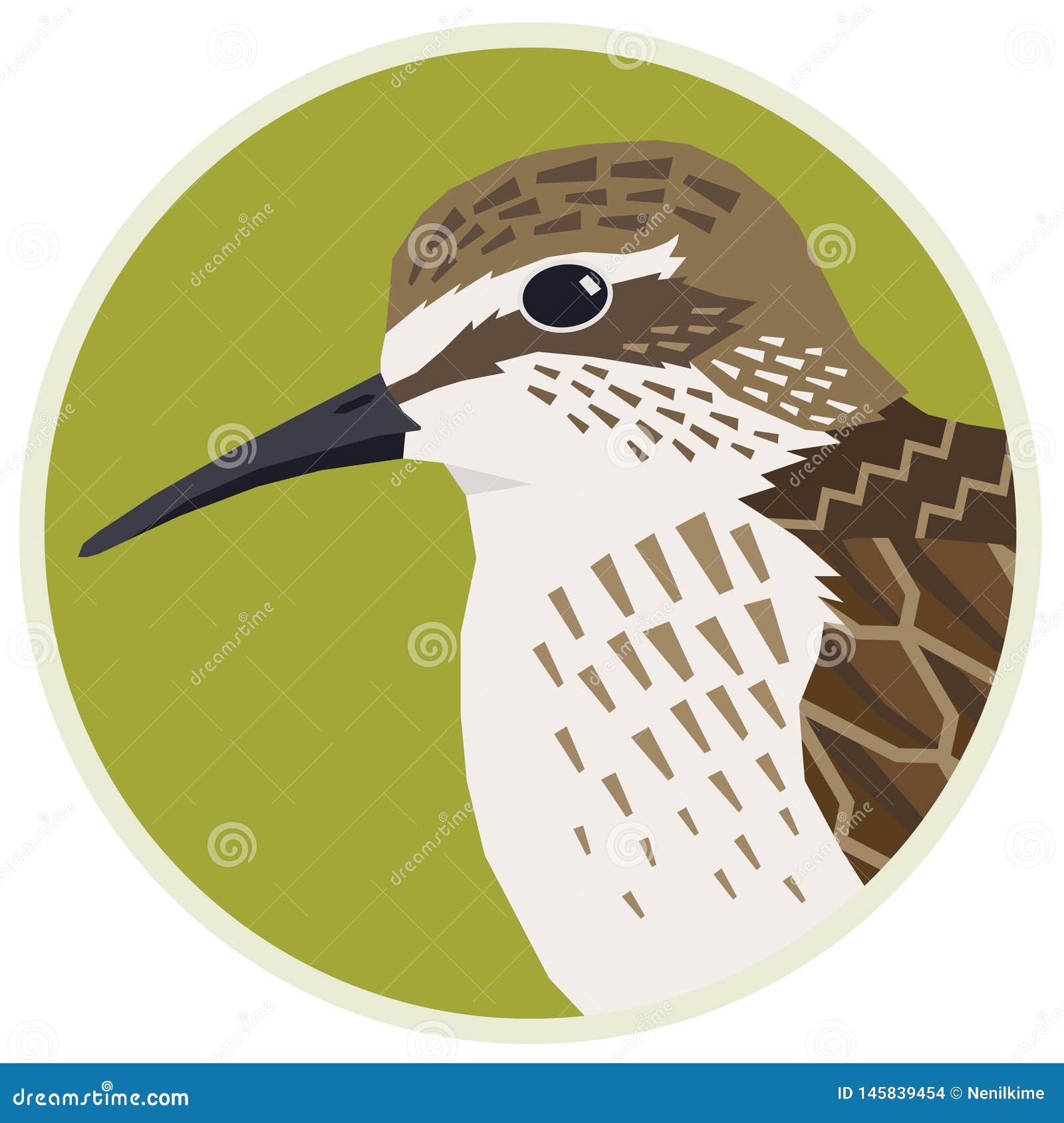 Birds Collection Sandpiper Vector Illustration of a Bird in a Round ...