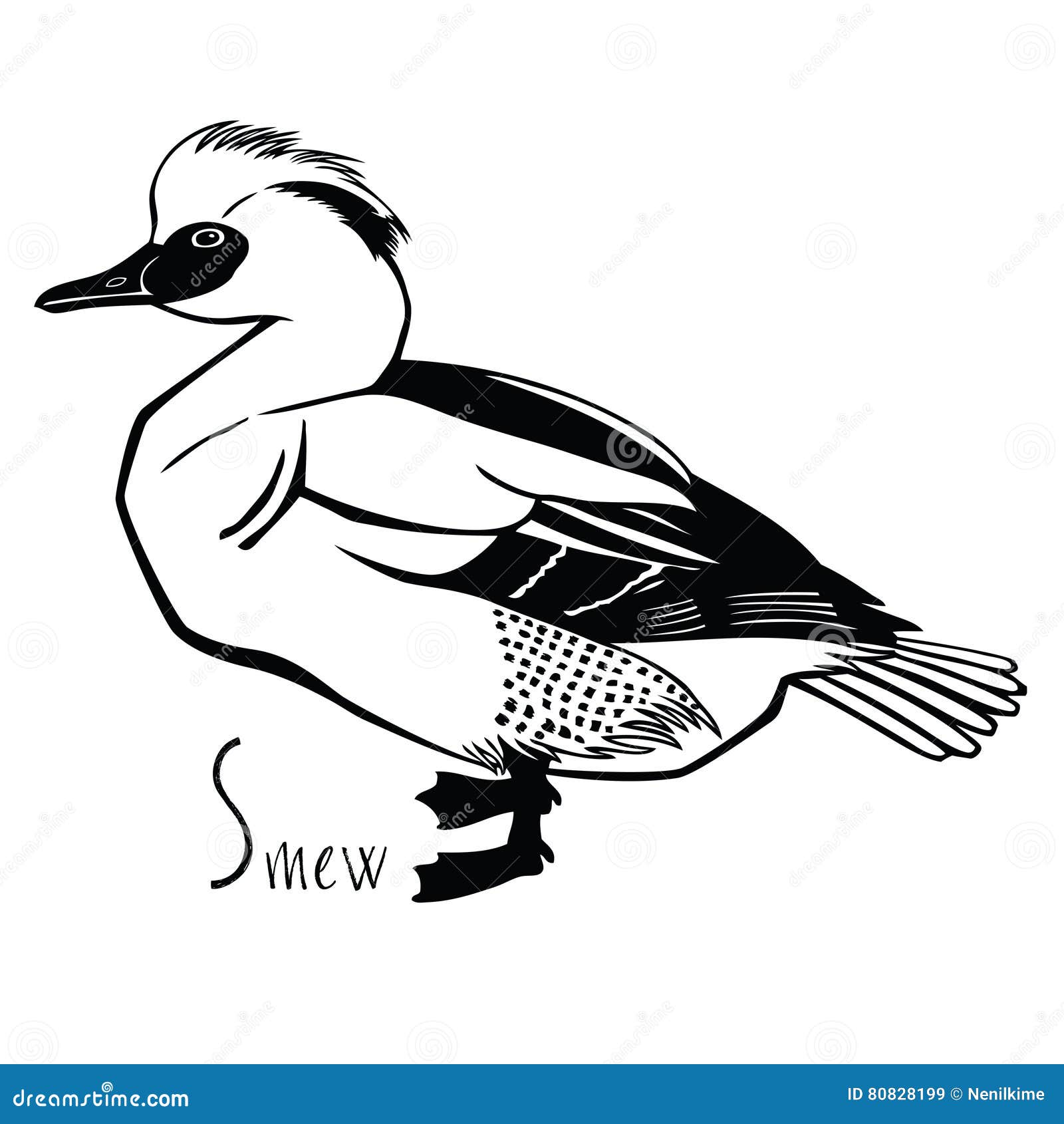 Birds Collection Smew Black and White Vector Stock Vector ...