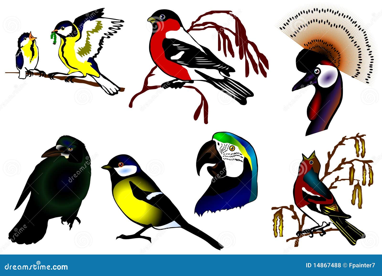 Birds color collection stock vector. Illustration of blue - 14867488