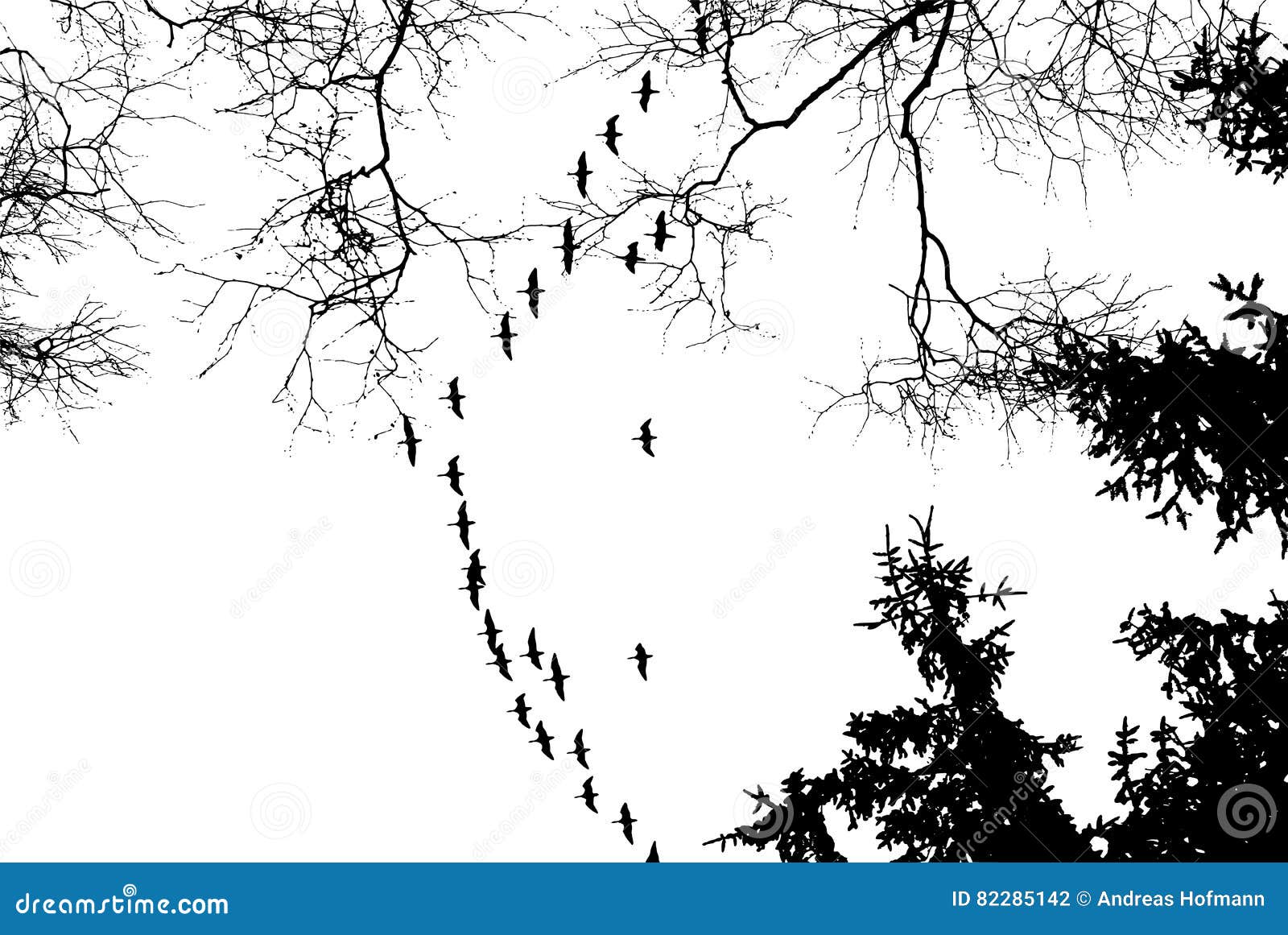 3 Birds In Formation Royalty-Free Stock Image | CartoonDealer.com #249178