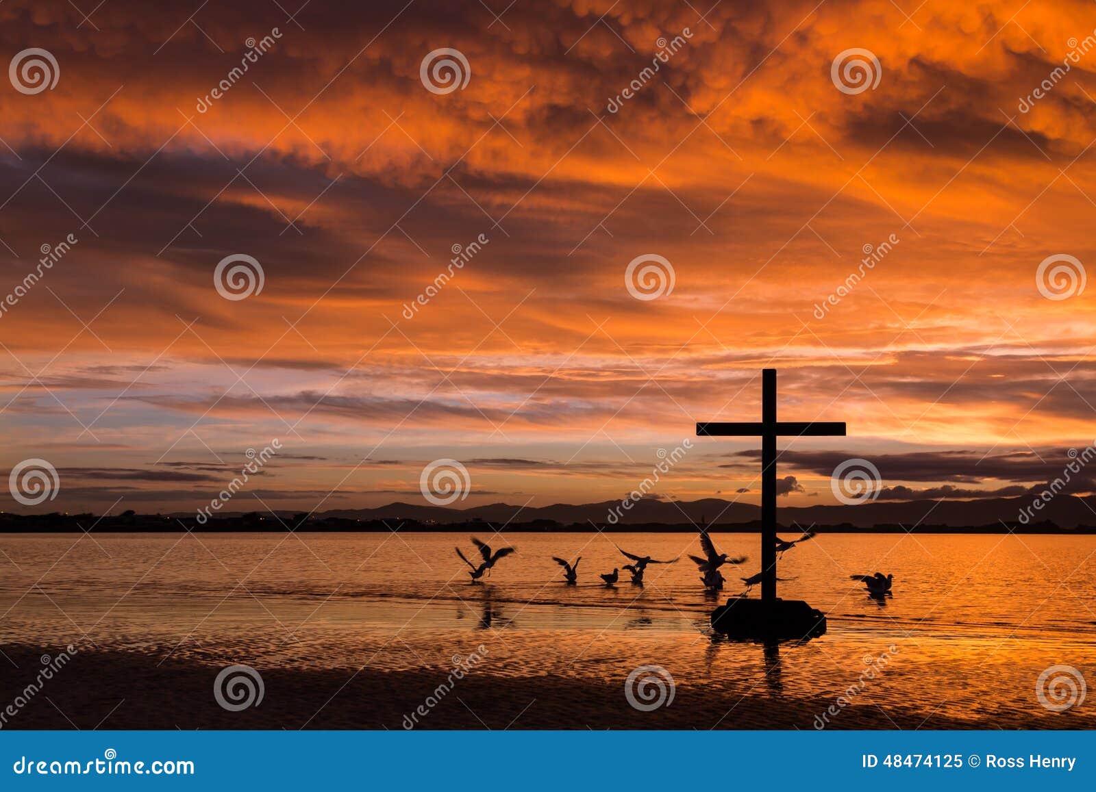 Birds Cross stock image. Image of holy, water, cross - 48474125
