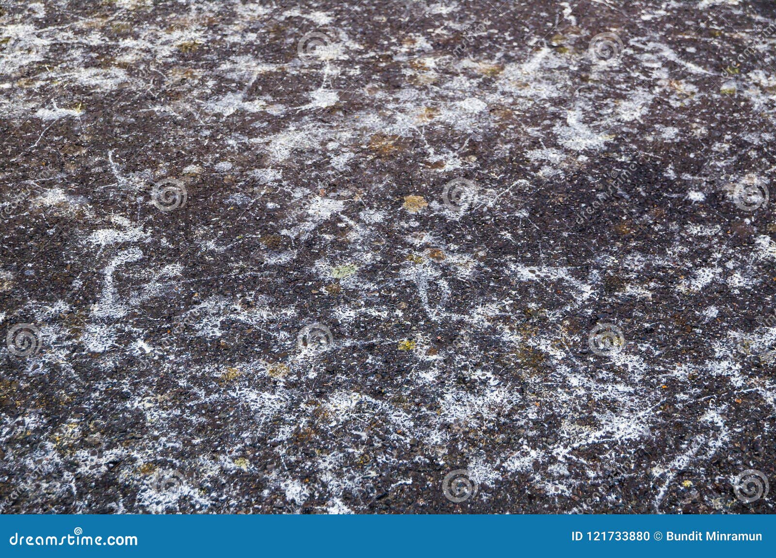 Birds Droppings Poop on the Footpath Texture Pavement. Stock Photo ...