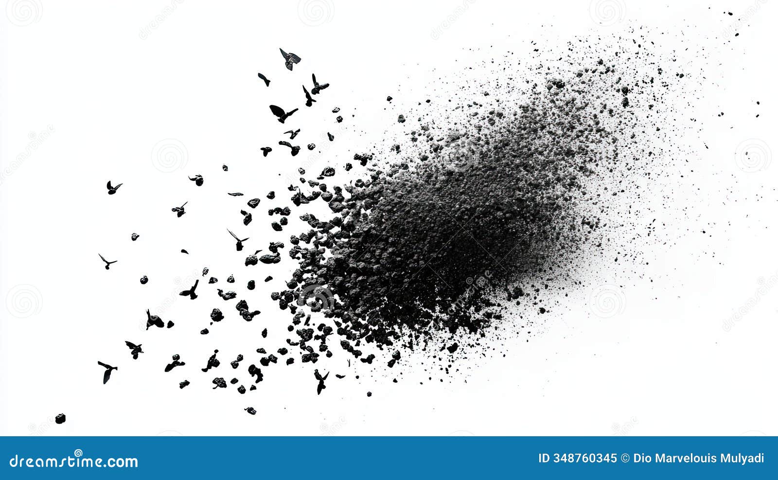 Birds Exploding Abstract Black and White Stock Image - Image of ...