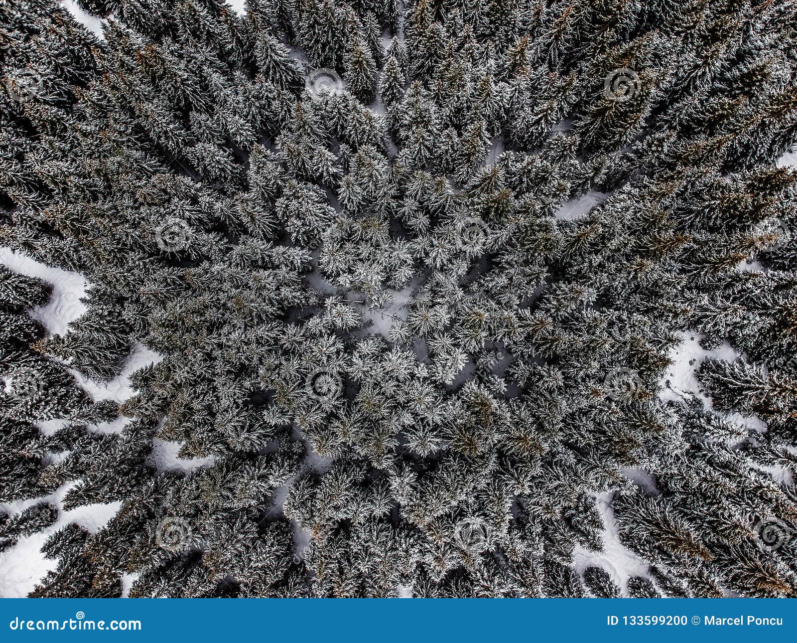 Birds Eye, Aerial View of Forest Covered with Snow Stock Photo - Image ...