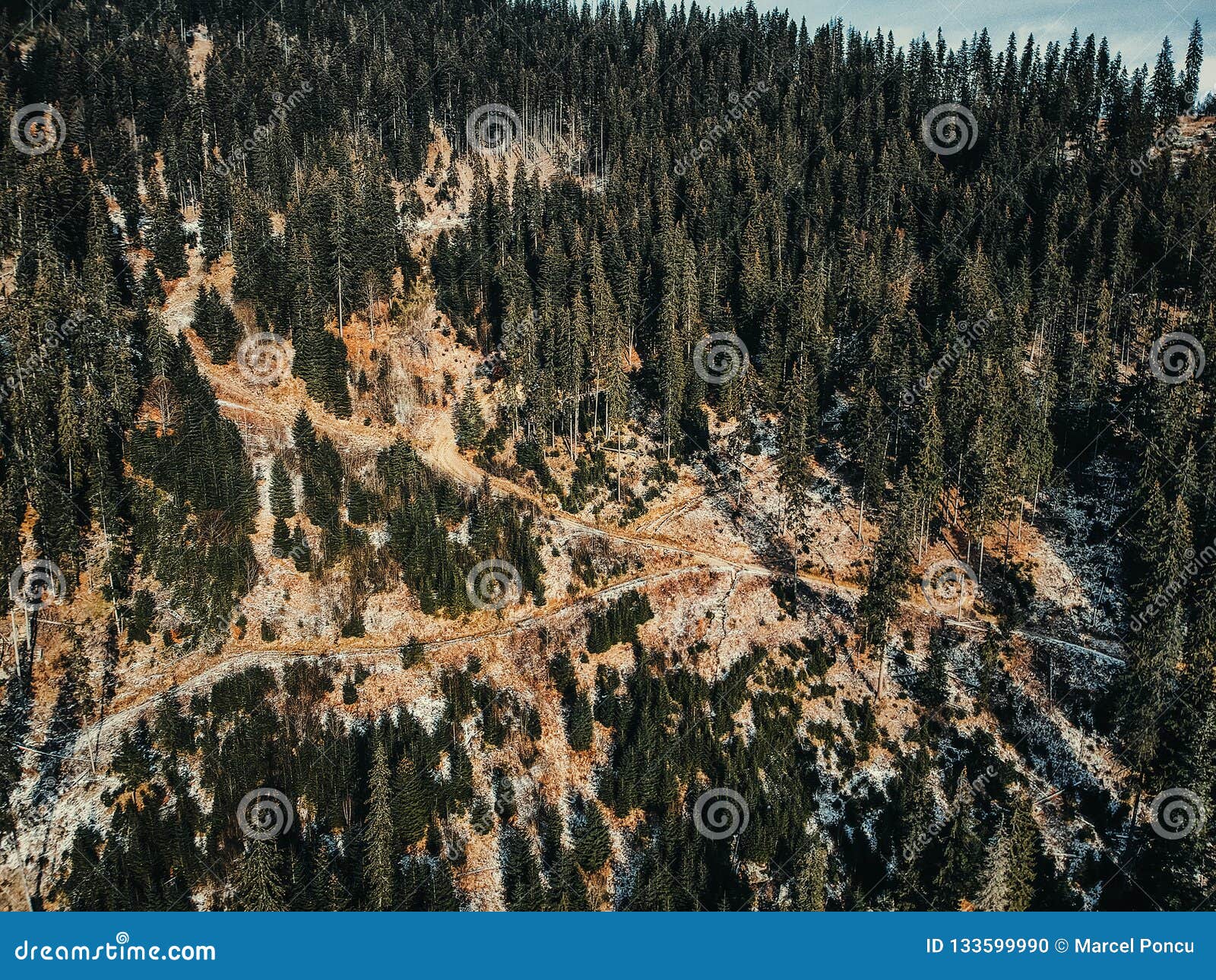 Birds Eye, Aerial View of Forest Covered with Snow Stock Photo - Image ...