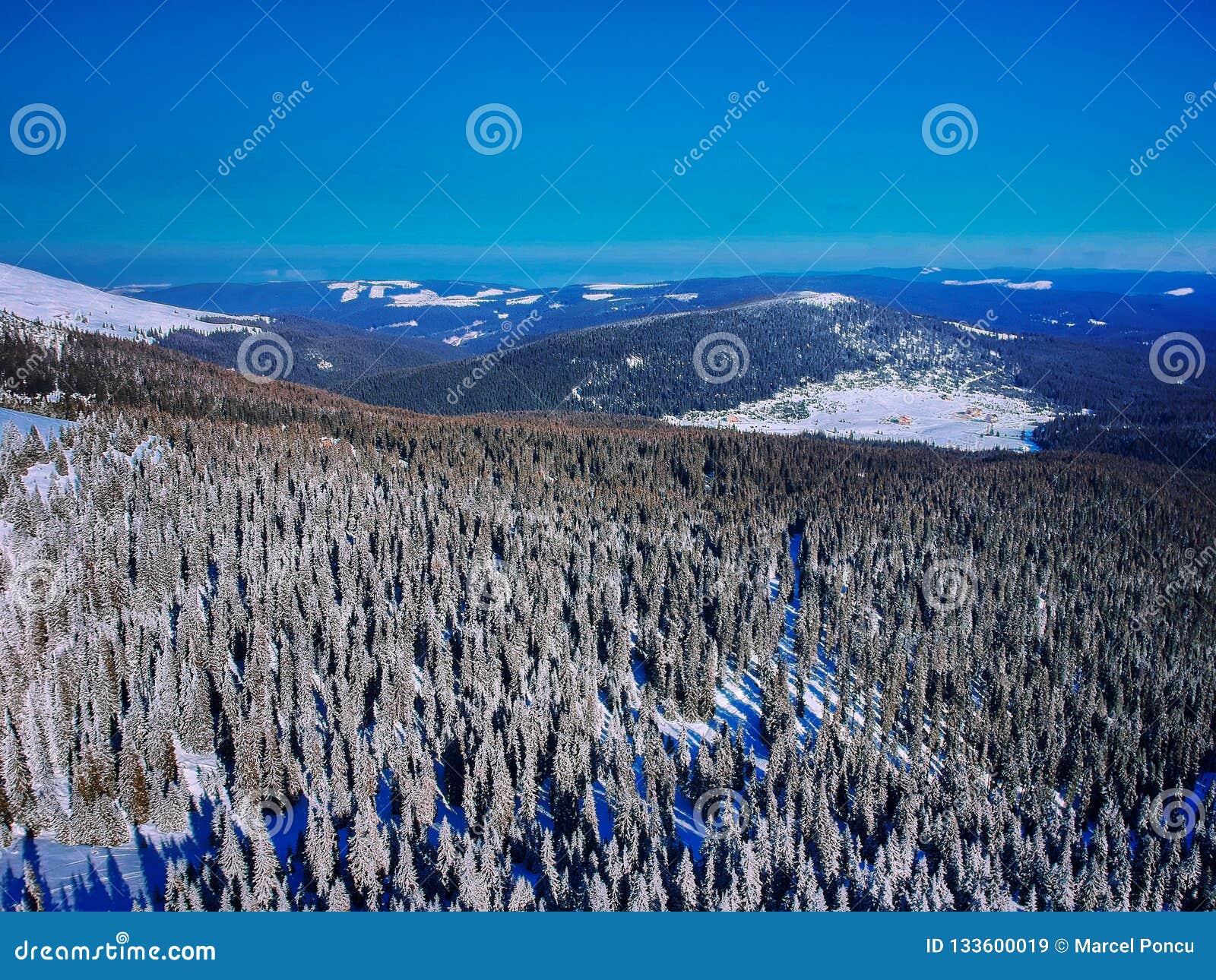 Birds Eye, Aerial View of Forest Covered with Snow Stock Image - Image ...