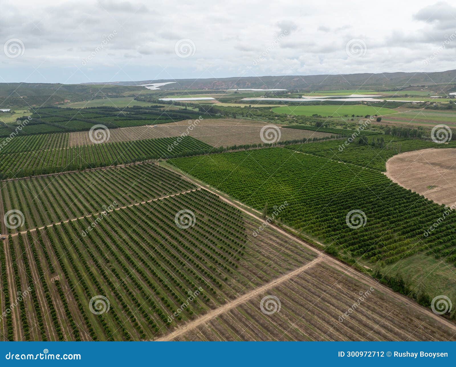 Aerial View of Agricultural Fields Stock Photo - Image of landscape ...