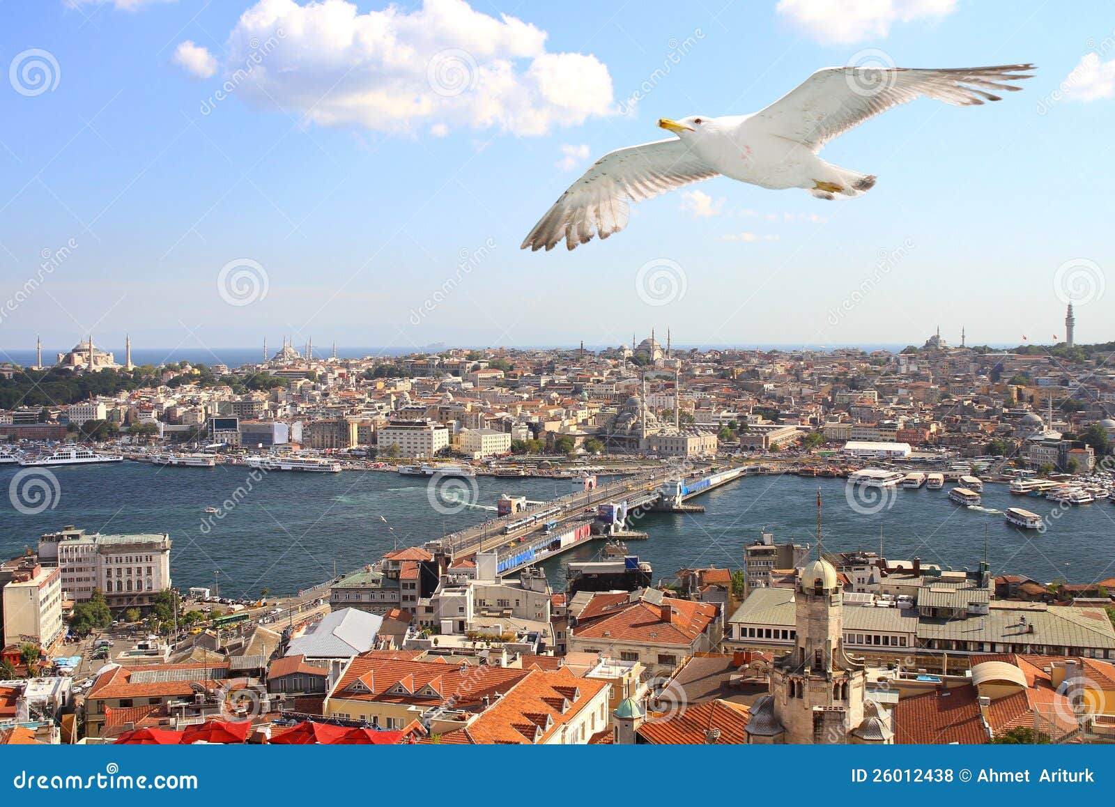 Birds eye view of Istanbul stock photo. Image of goldenhorn - 26012438