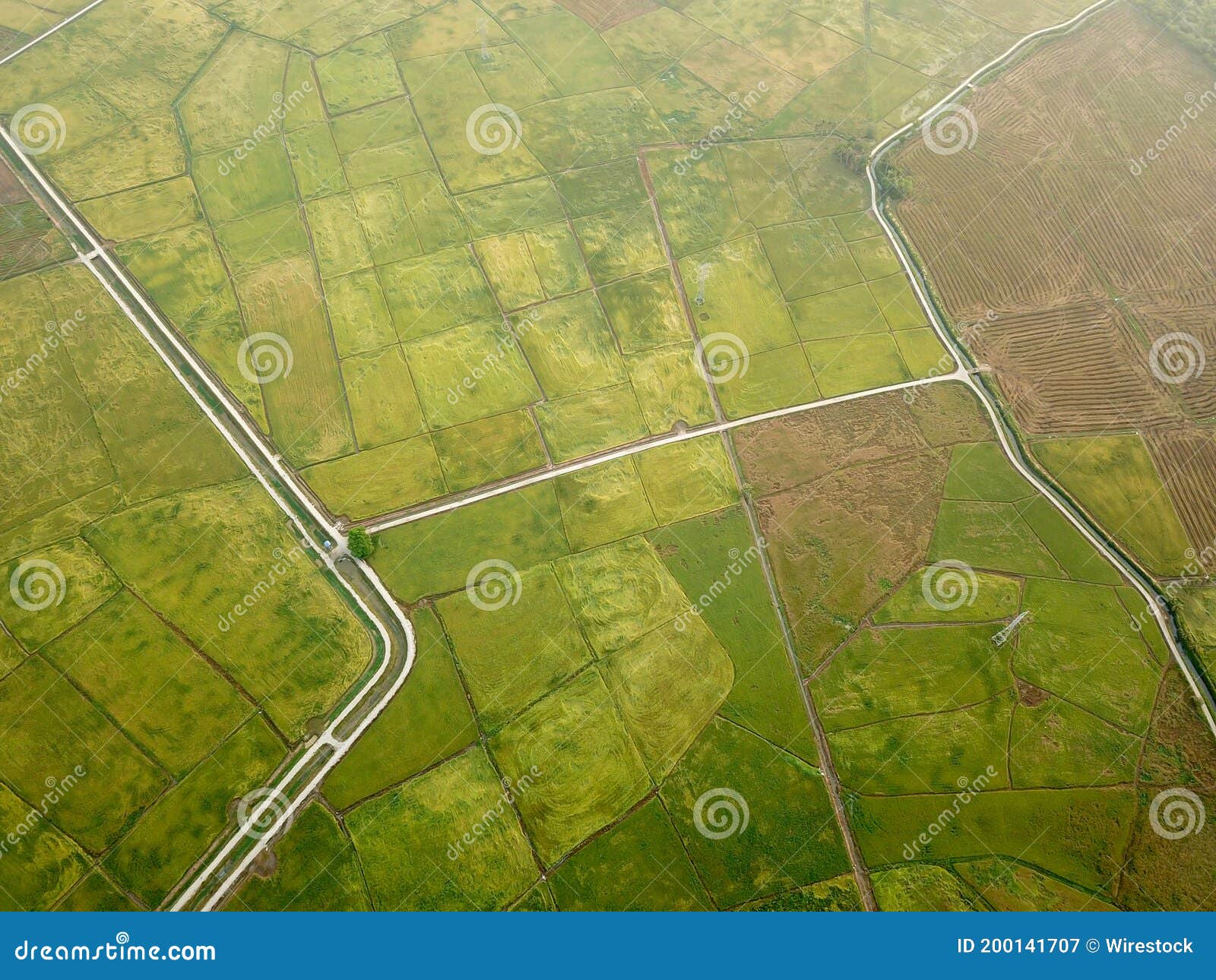 Birds-eye View of a Paddy Field Stock Image - Image of farm, farmland ...