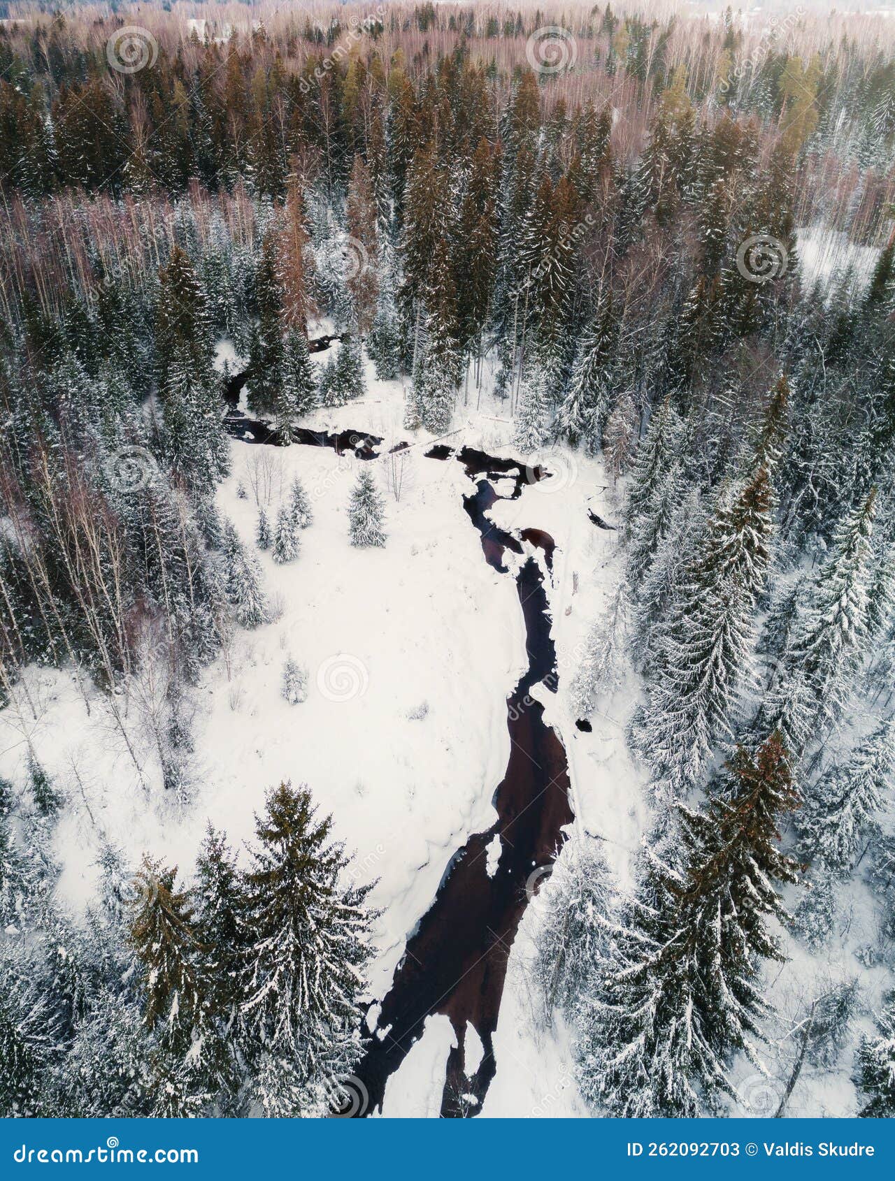 Birds Eye View of Small River in Snowy Forest Stock Image - Image of ...