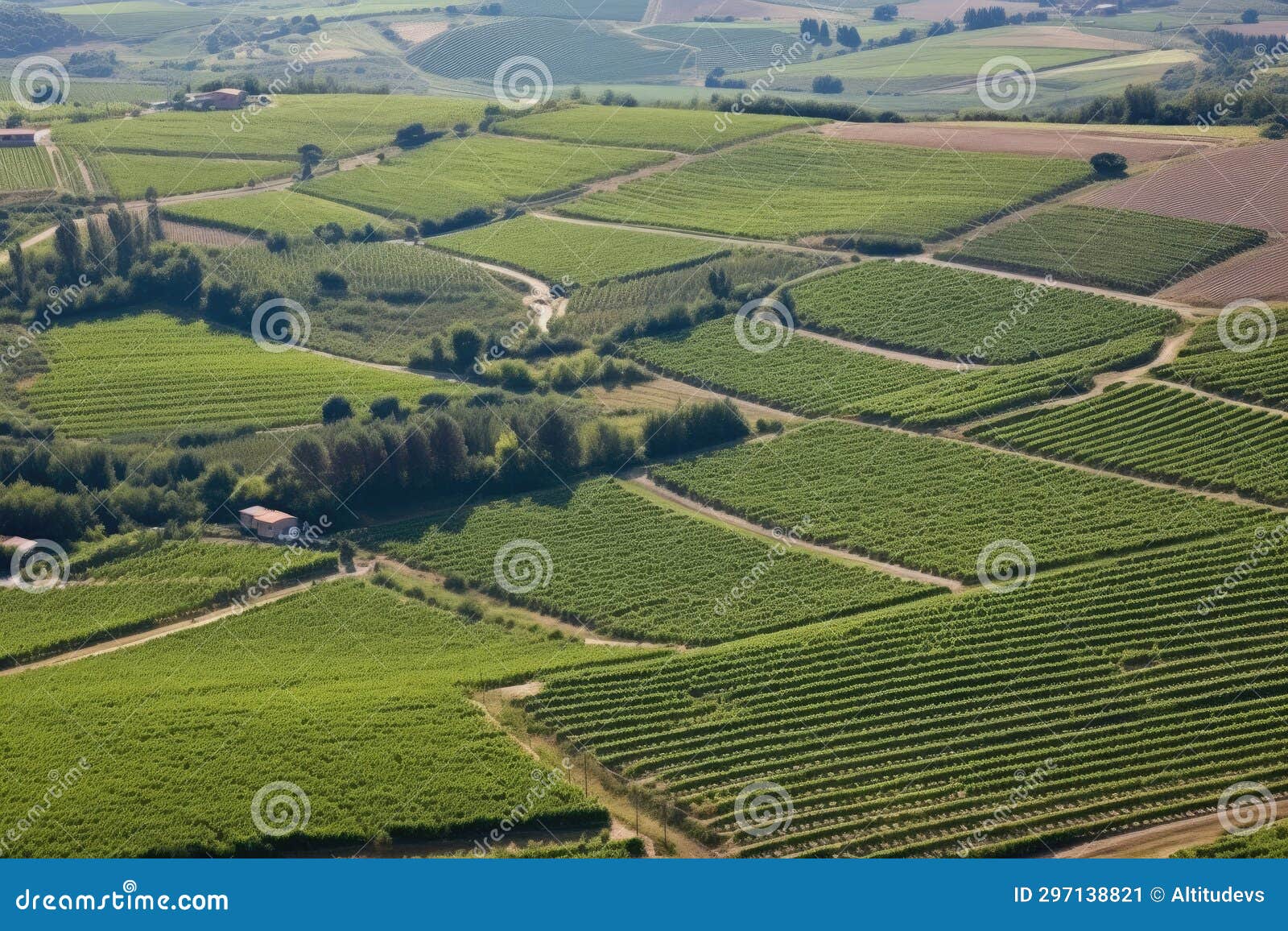 Birds Eye View of Sprawling Vineyard Patchwork Stock Image - Image of fields, agriculture: 297138821