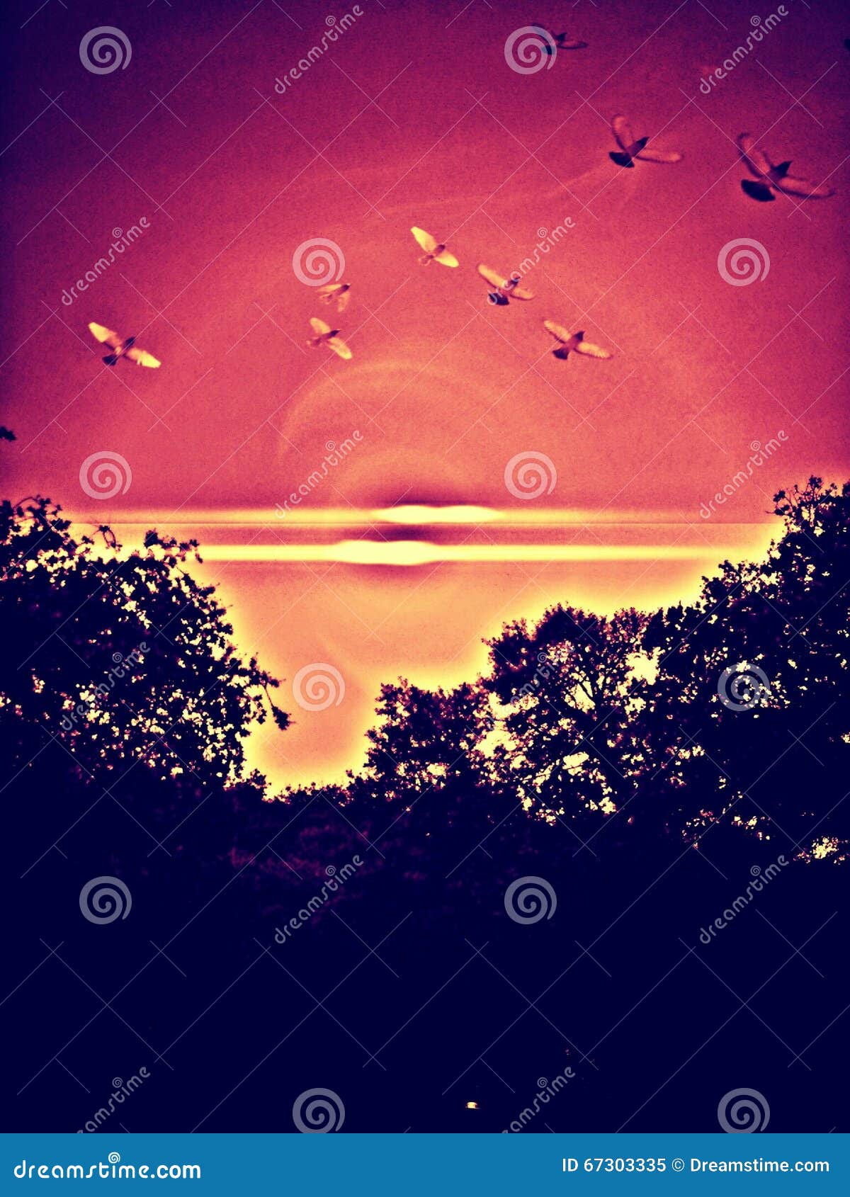 Birds eye view stock image. Image of birds, sunset, peaceful - 67303335