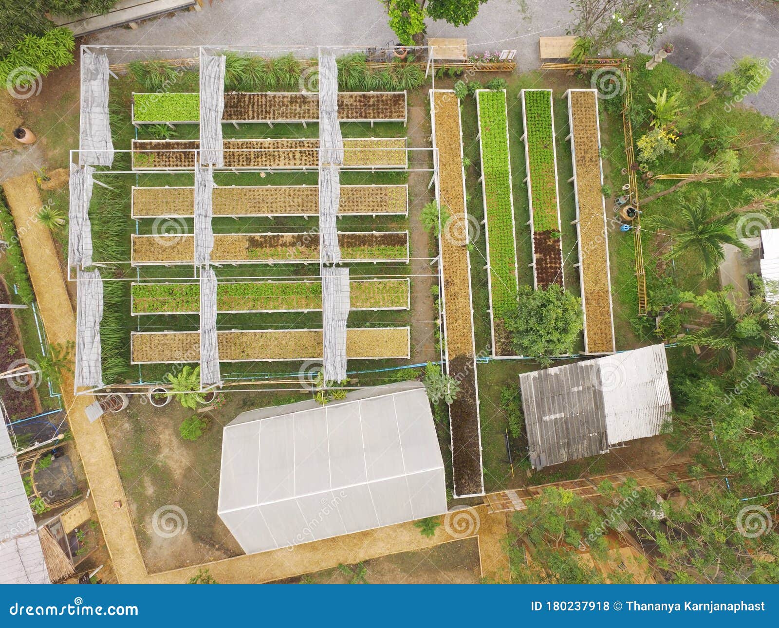 Birds Eye View of the Vegetable Fields Stock Photo - Image of plant ...