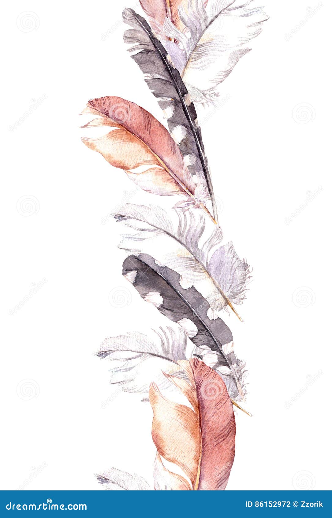 Feathers Border. Seamless Strip. Water Color Royalty-Free Stock ...