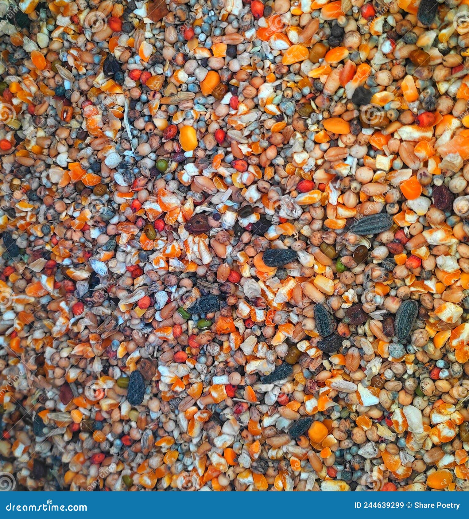 Birds feed mix all food stock image. Image of birds - 244639299