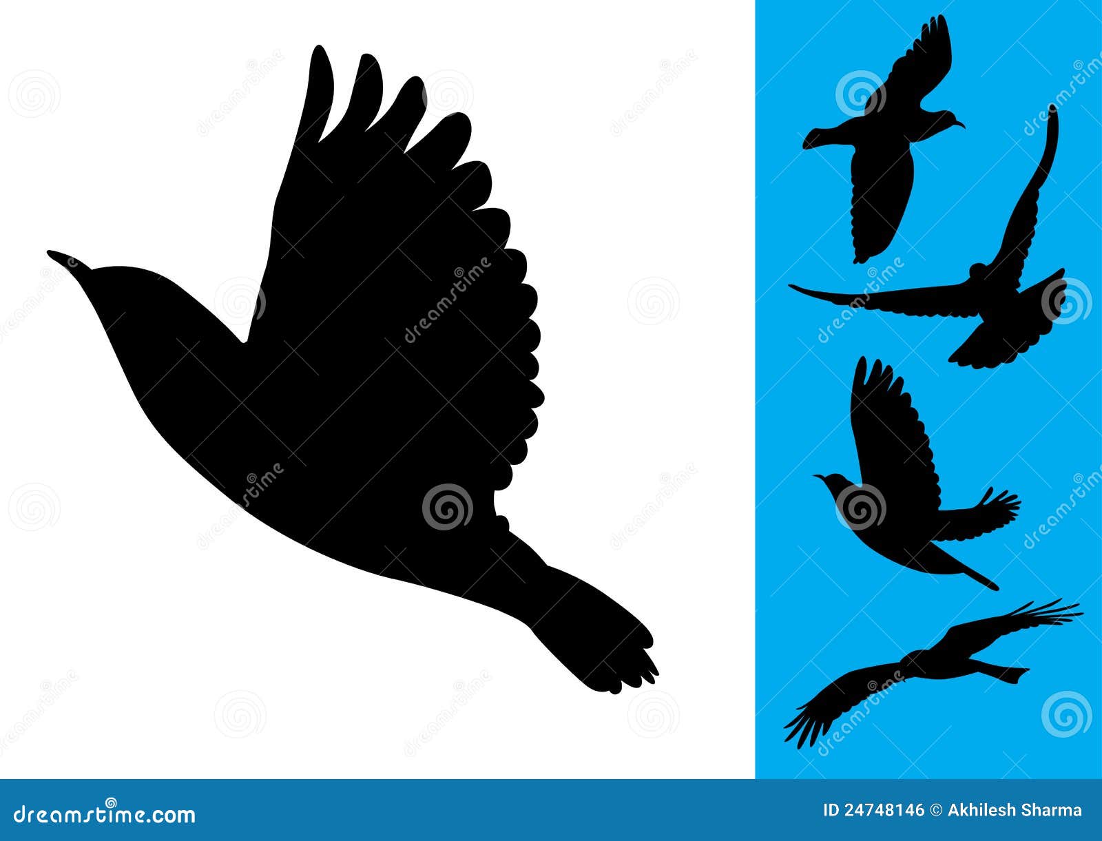 Birds in flight - Vector stock vector. Illustration of nature - 24748146