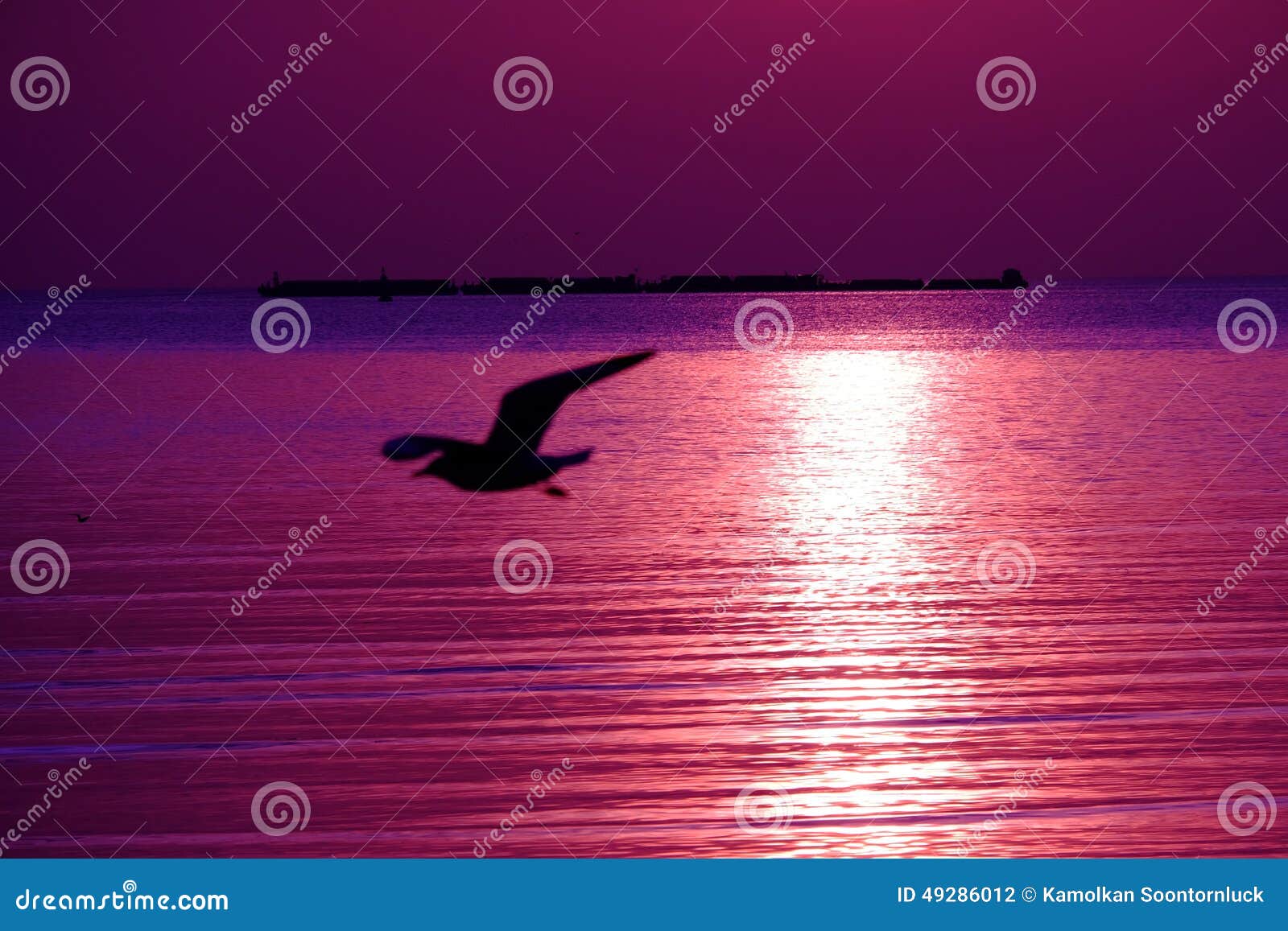 Birds fly back to the nest stock photo. Image of back - 49286012