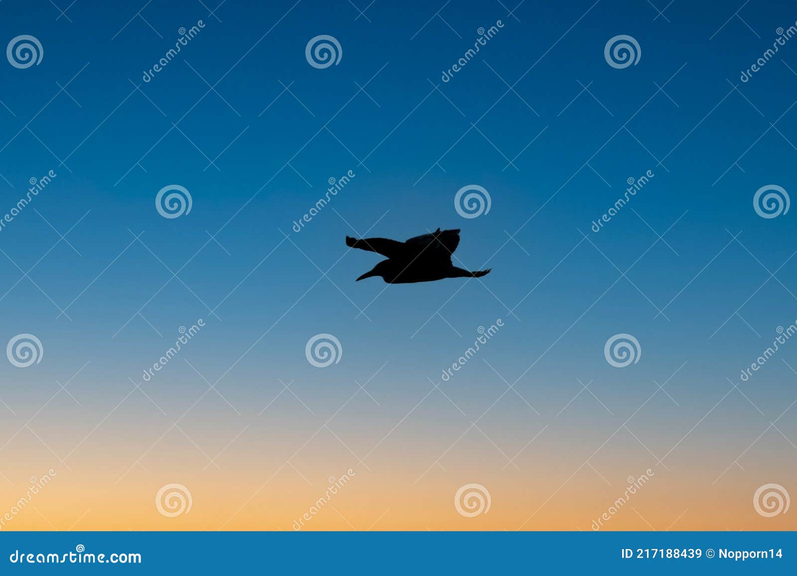 Birds Fly Back To Nest in the Evening Stock Image - Image of close ...