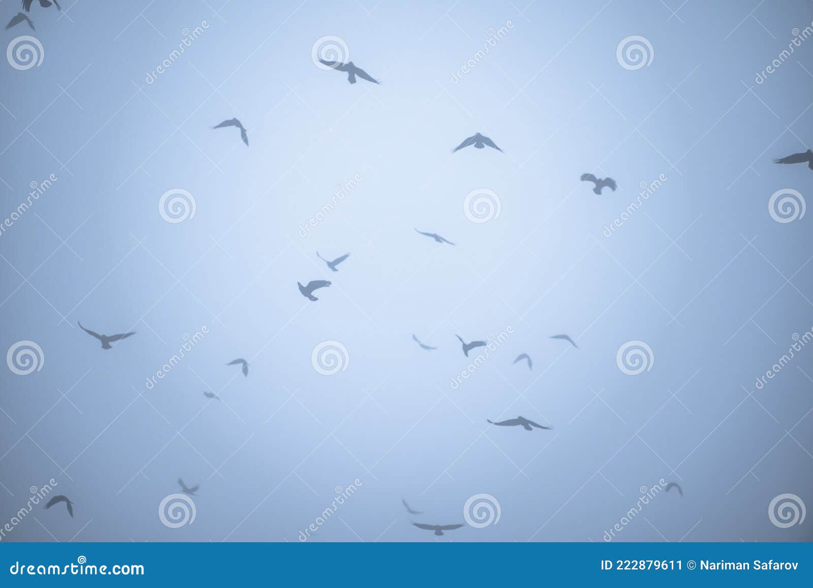 Birds fly in the fog stock illustration. Illustration of calmness ...