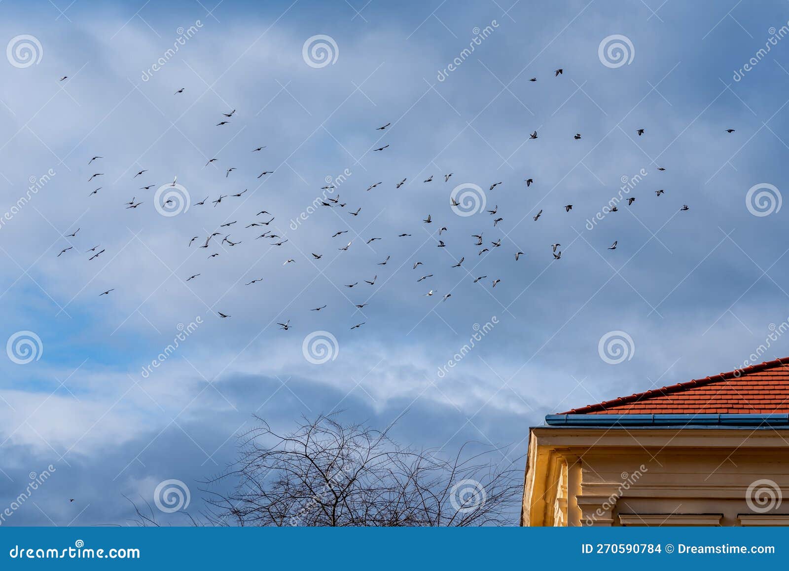 Birds Fly Over the House with the Blue Sky Background Stock Photo ...