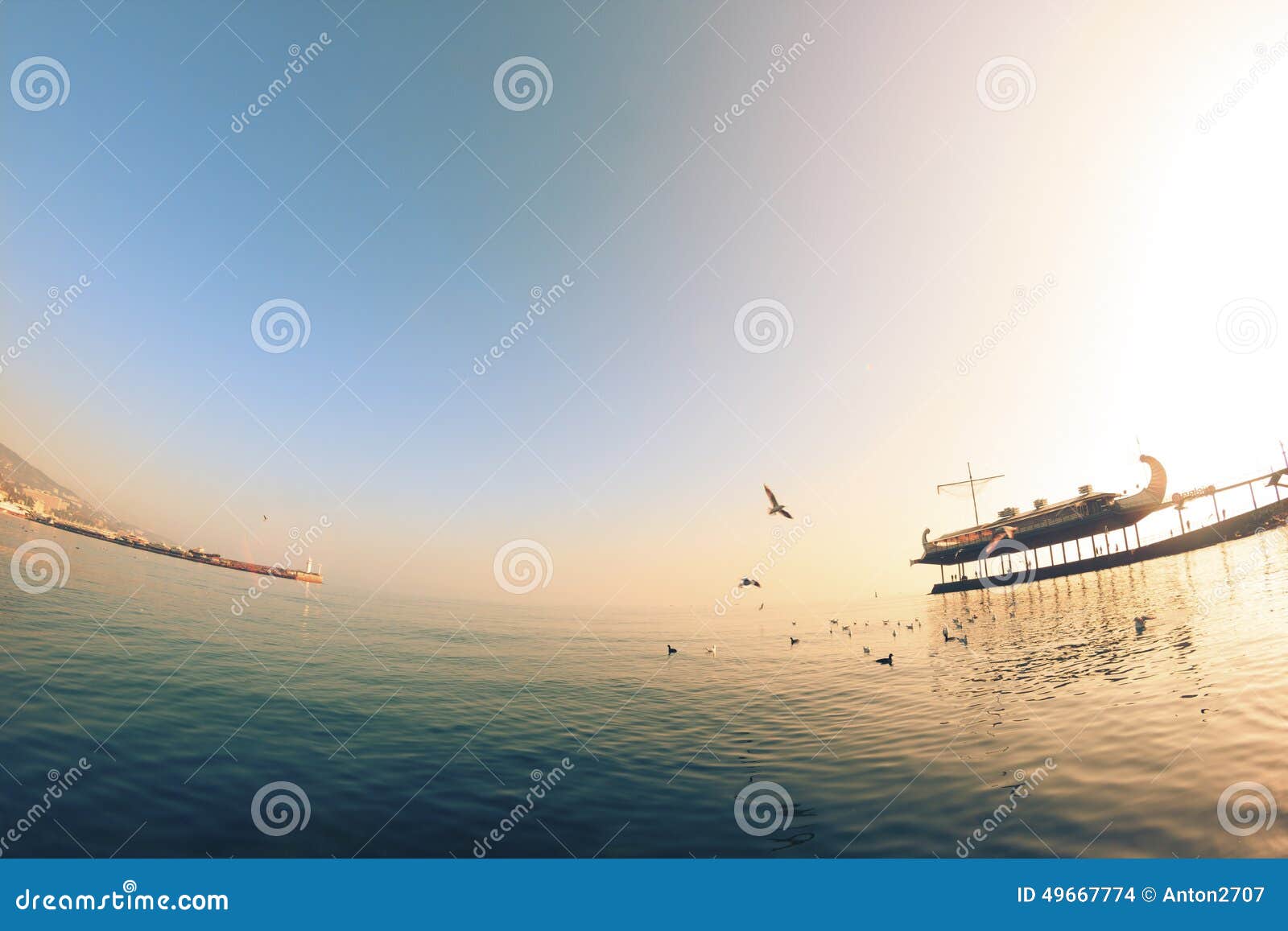 Birds Fly Over Sea Water at Sunset Stock Photo - Image of altitude ...