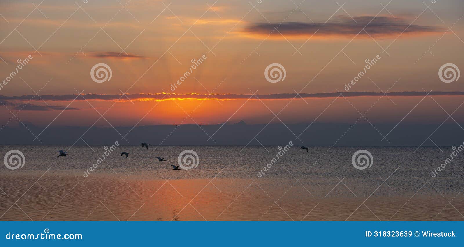 Birds Fly Over Water at Sunset with Sun Rays Shining. Stock Image ...