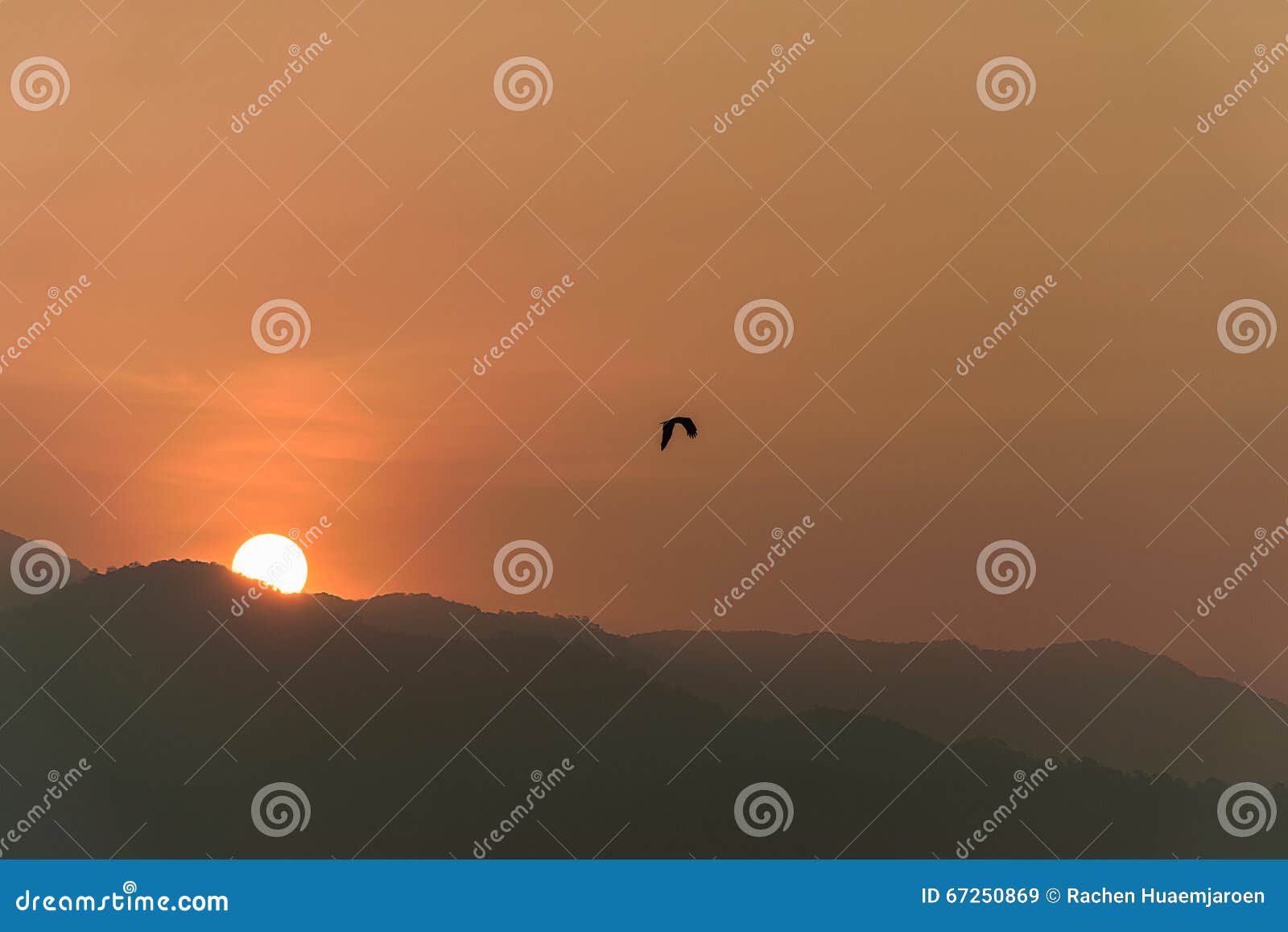 Birds Fly at Sunrise Behind the Mountains. Stock Image - Image of ...