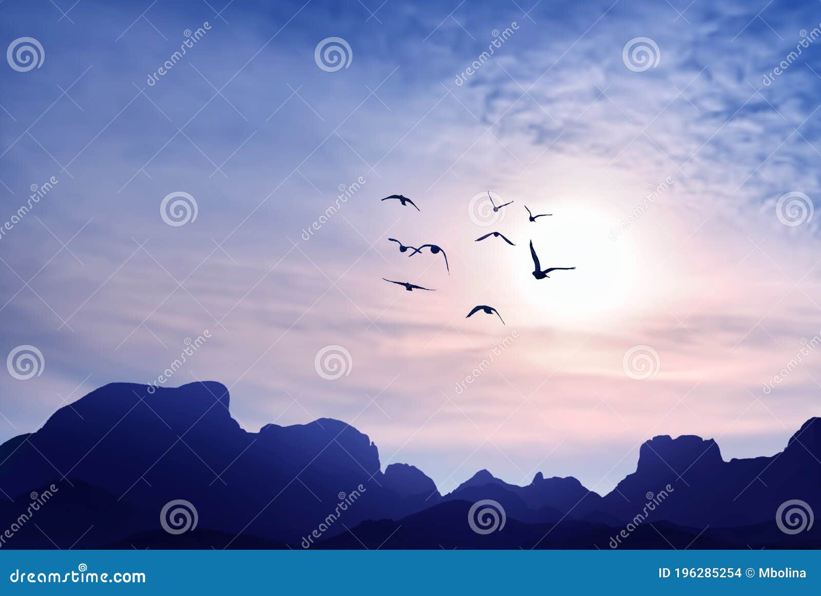 Birds Fly into Sunset in the Blue Mountains Stock Photo - Image of ...