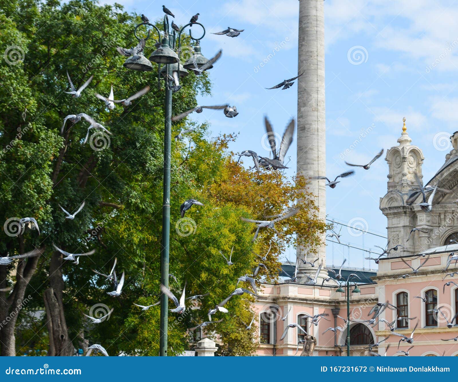 Birds Flying at the Ancient Church Stock Photo - Image of flight ...