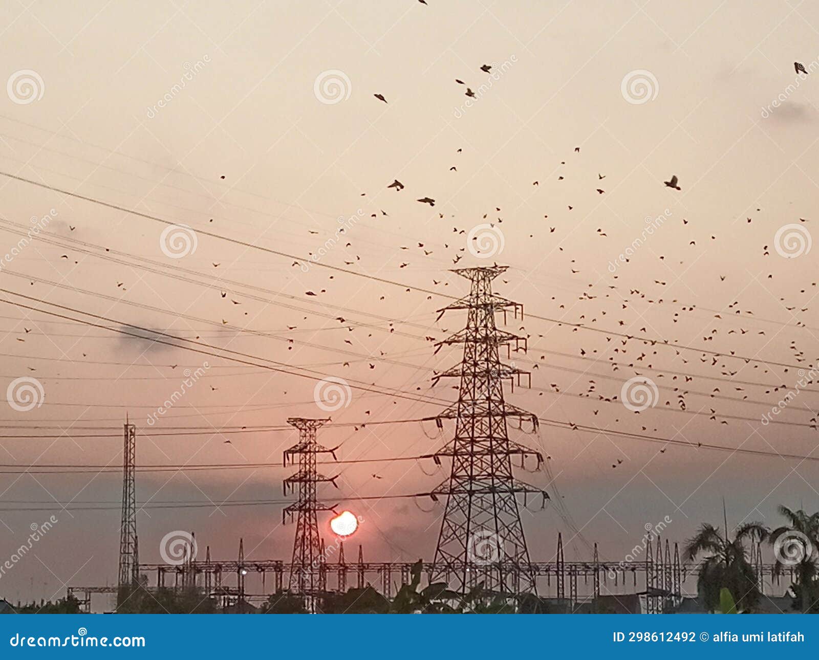 Birds are Flying Around Electricity Tower Stock Photo - Image of tower ...
