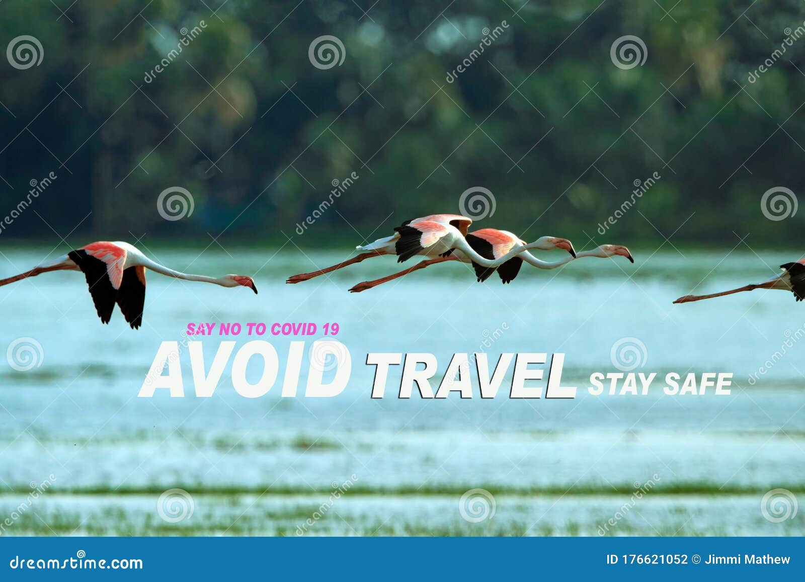 Birds Flying , Avoid Travel Stay Safe Concept Image Stock Photo - Image ...