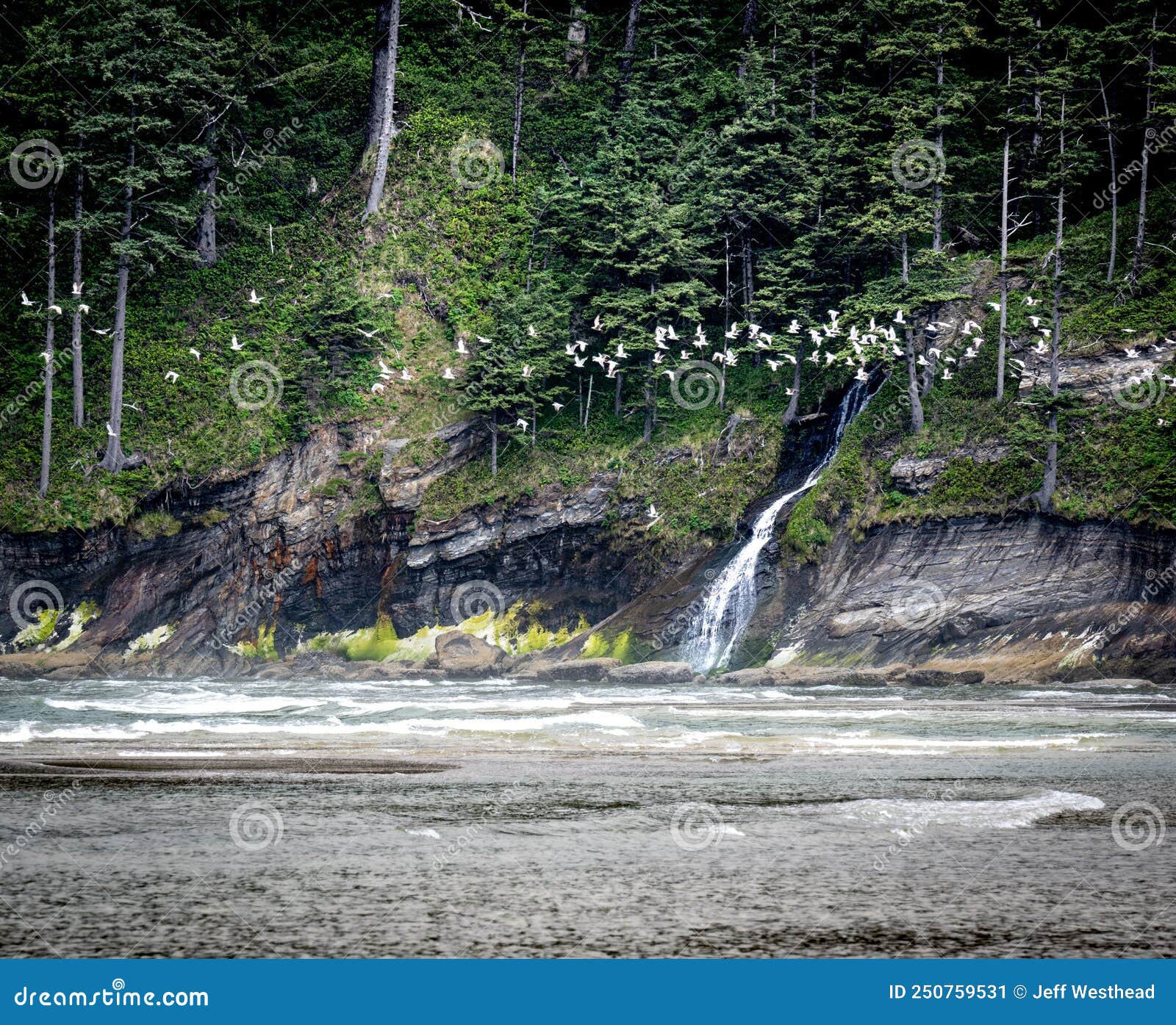 Birds Flying in Front of a Waterfall at Short Sands Beach in Oregon ...