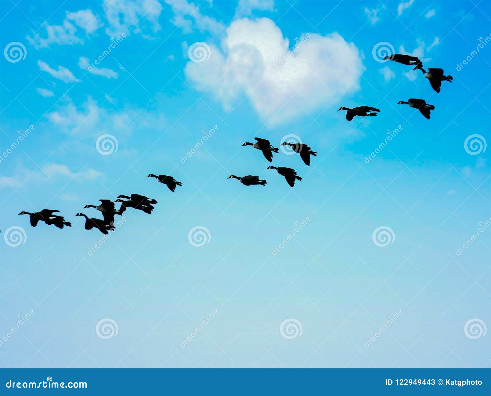 Birds Flying through Heart Shaped Cloud in the Sky Stock Image - Image ...