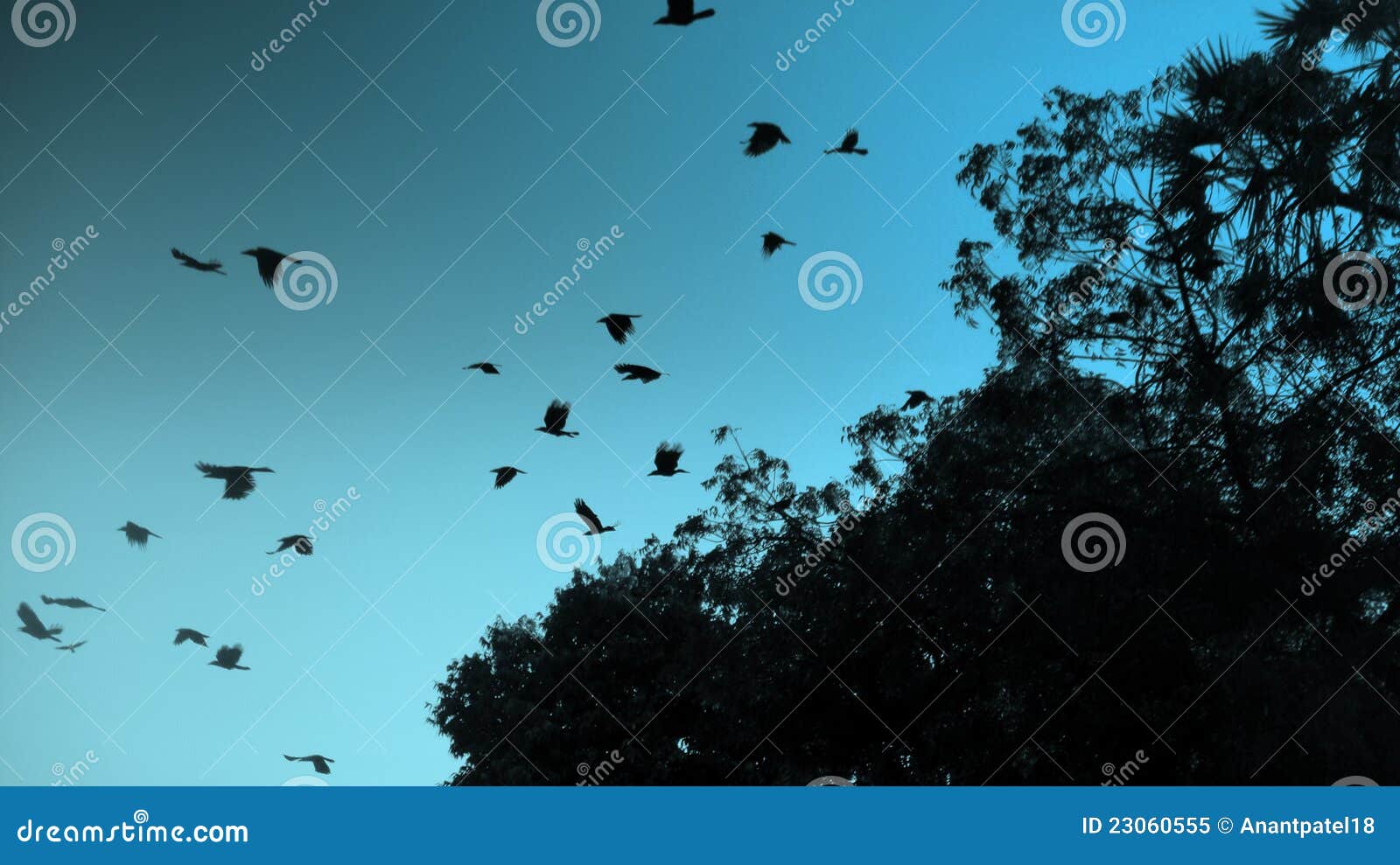 Birds Flying Off the Tree in Early Morning Stock Image - Image of ...